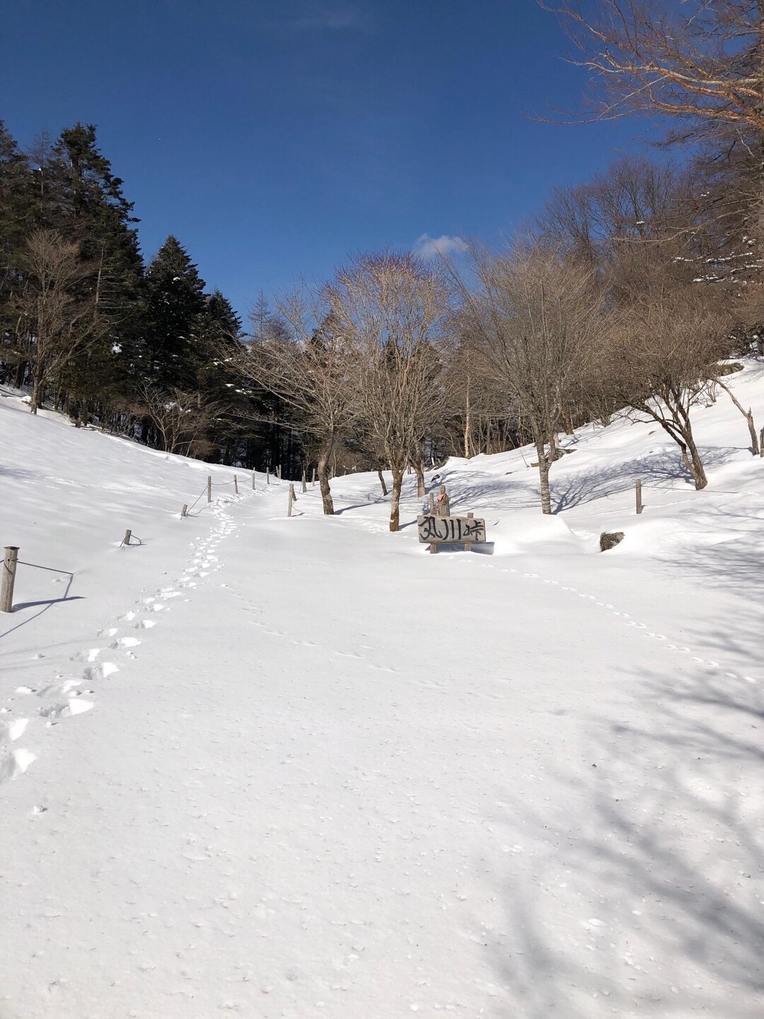 春節の大菩薩嶺 / yhmgcさんの大菩薩嶺・鶏冠山・大マテイ山の活動データ | YAMAP / ヤマップ