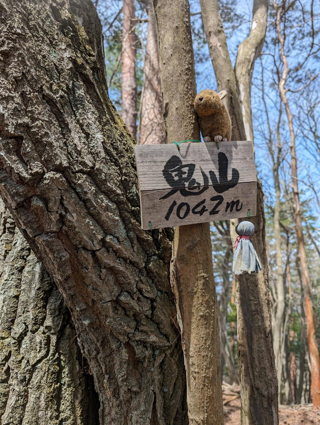 要害山から大蔵経寺山🌸桜咲く6つのピークを越えて / senさんの要害山・兜山・大蔵経寺山の活動データ | YAMAP / ヤマップ