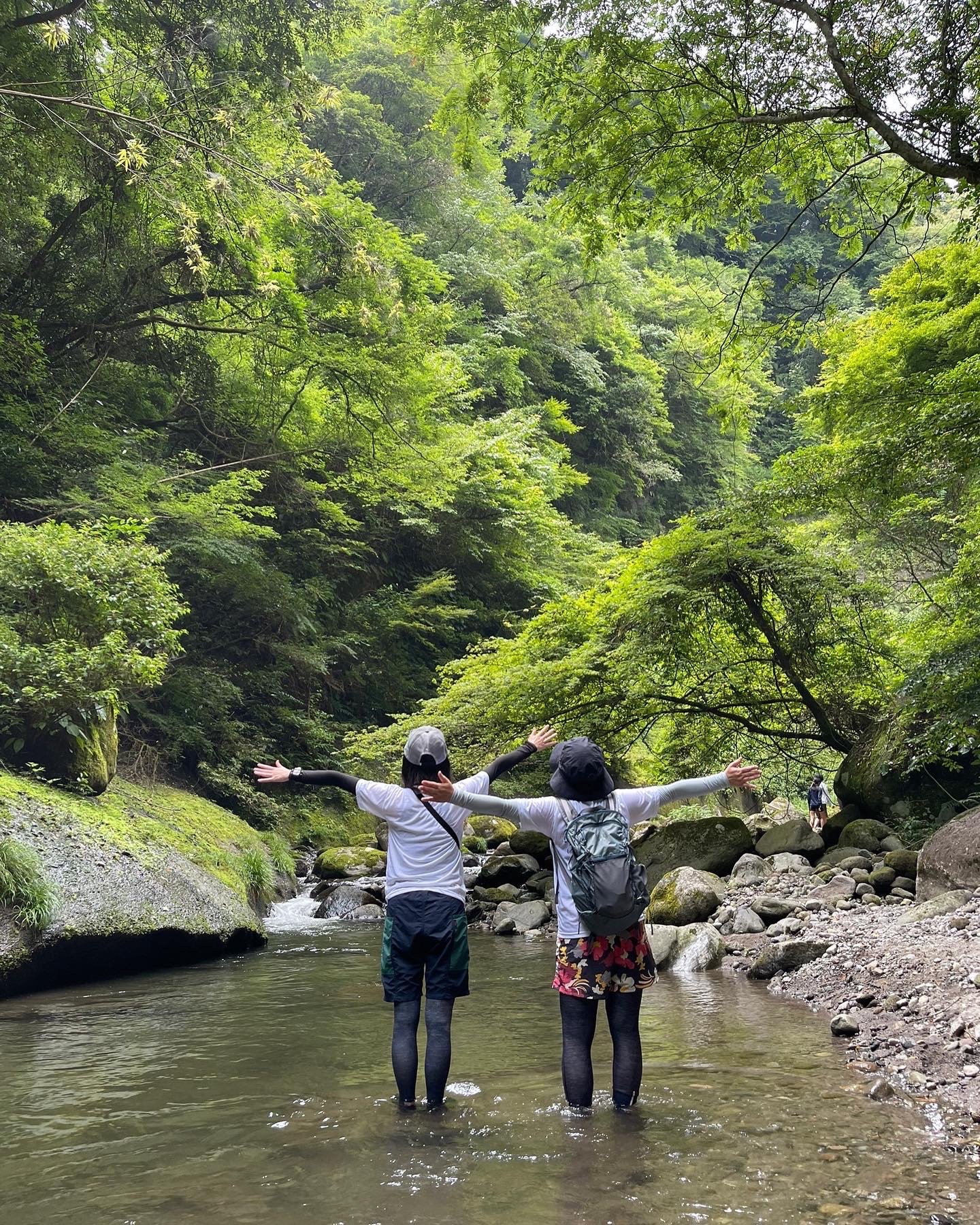 由布岳・鶴見岳-2022-07-24 / akkeyさんの由布岳・鶴見岳の活動日記 | YAMAP / ヤマップ