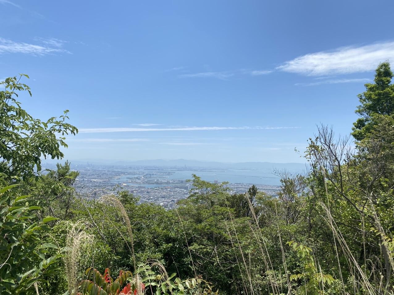 Ryokoのページ | YAMAP / ヤマップ