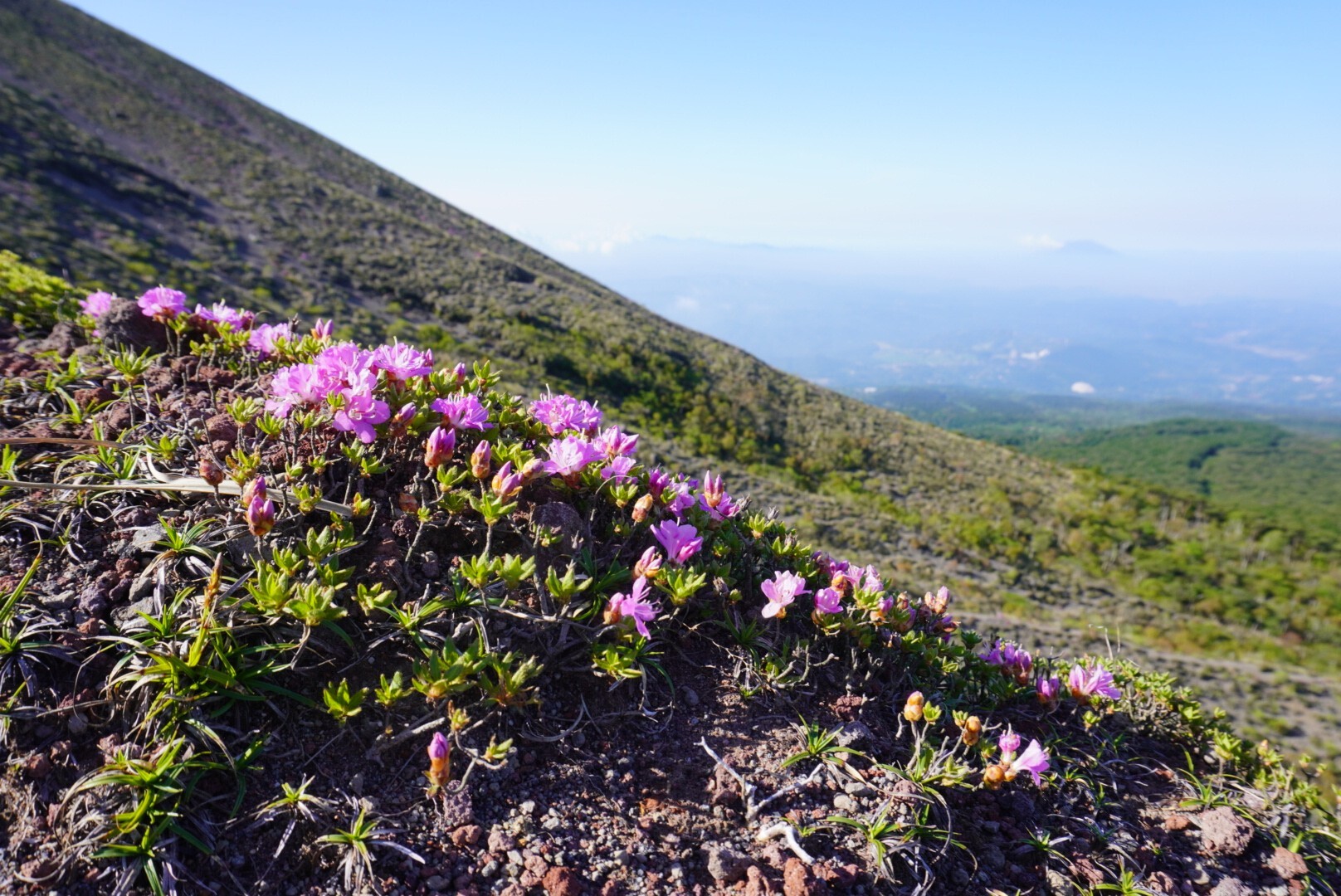 2022 GW3座目 高千穂峰（霧島山） / AKOさんの霧島山・韓国岳・高千穂峰・夷守岳・烏帽子岳の活動データ | YAMAP / ヤマップ