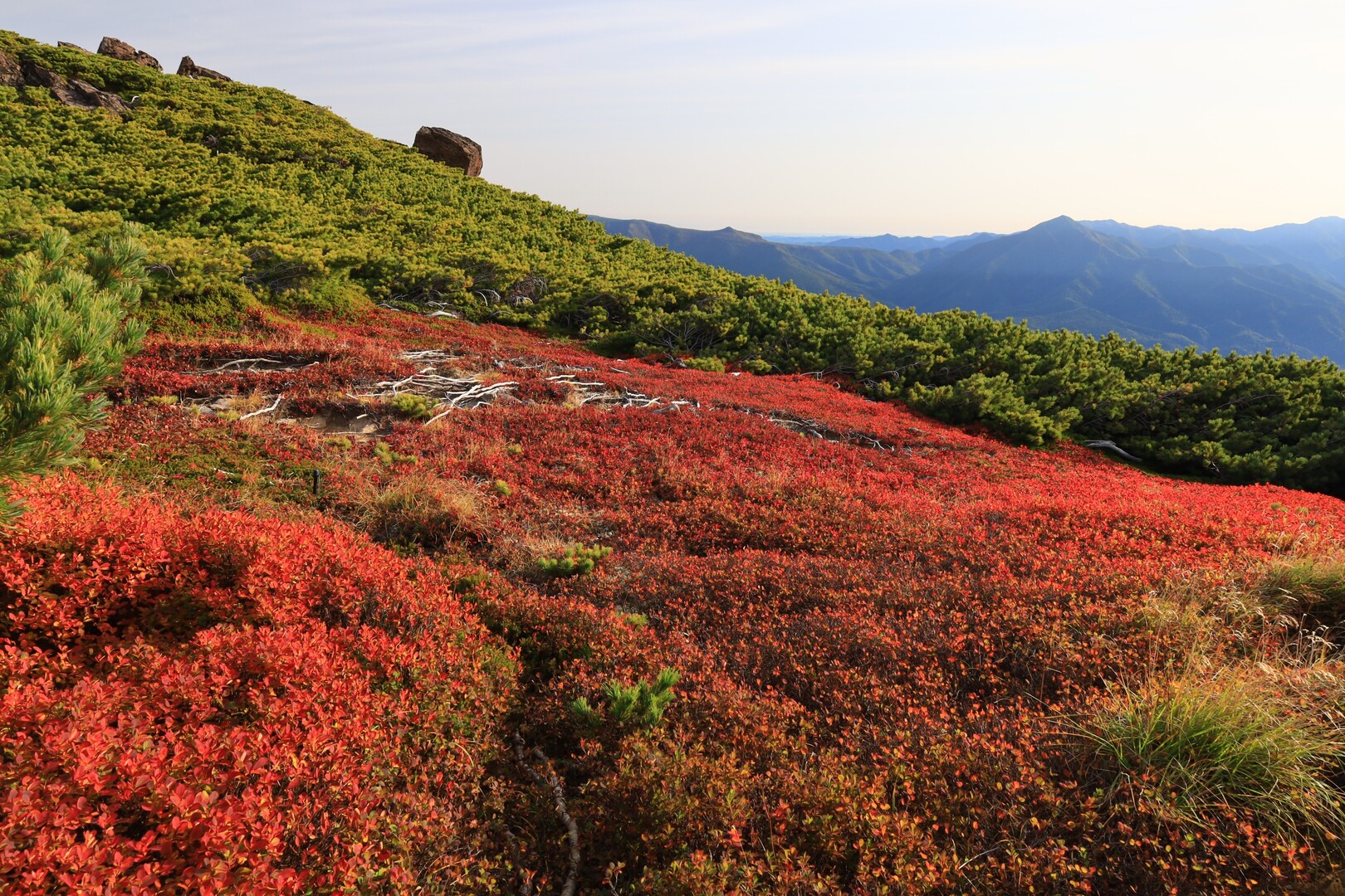 大雪山 赤岳・白雲岳・緑岳・小泉岳 紅葉🍁求めて銀・赤・白・緑めぐり / かずたOKTさんの大雪山系・旭岳・トムラウシの活動データ | YAMAP / ヤマップ