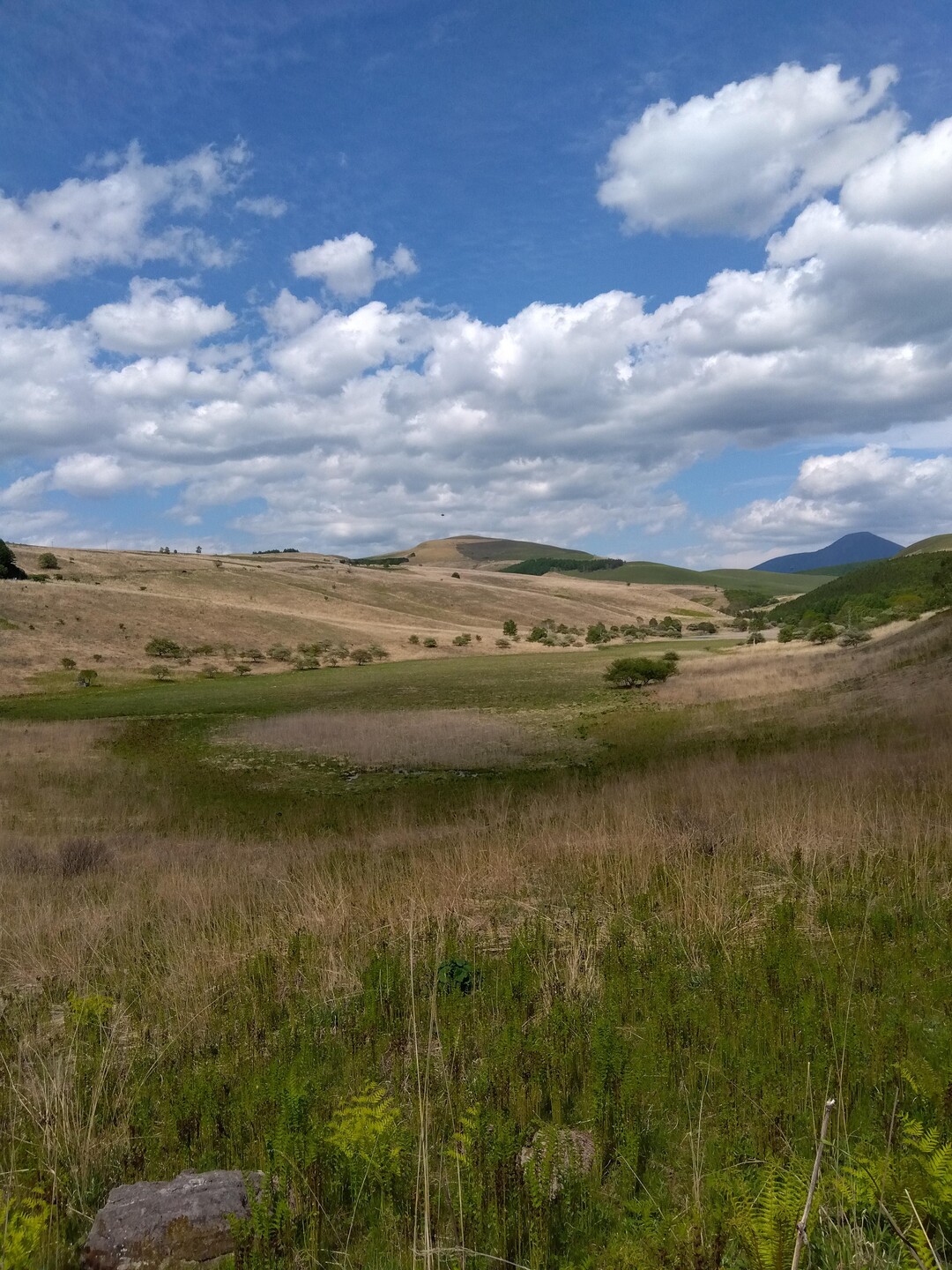 霧ヶ峰ハイク 2023-6-4 / ギャオさんの霧ヶ峰・車山・大笹峰の活動日記 | YAMAP / ヤマップ