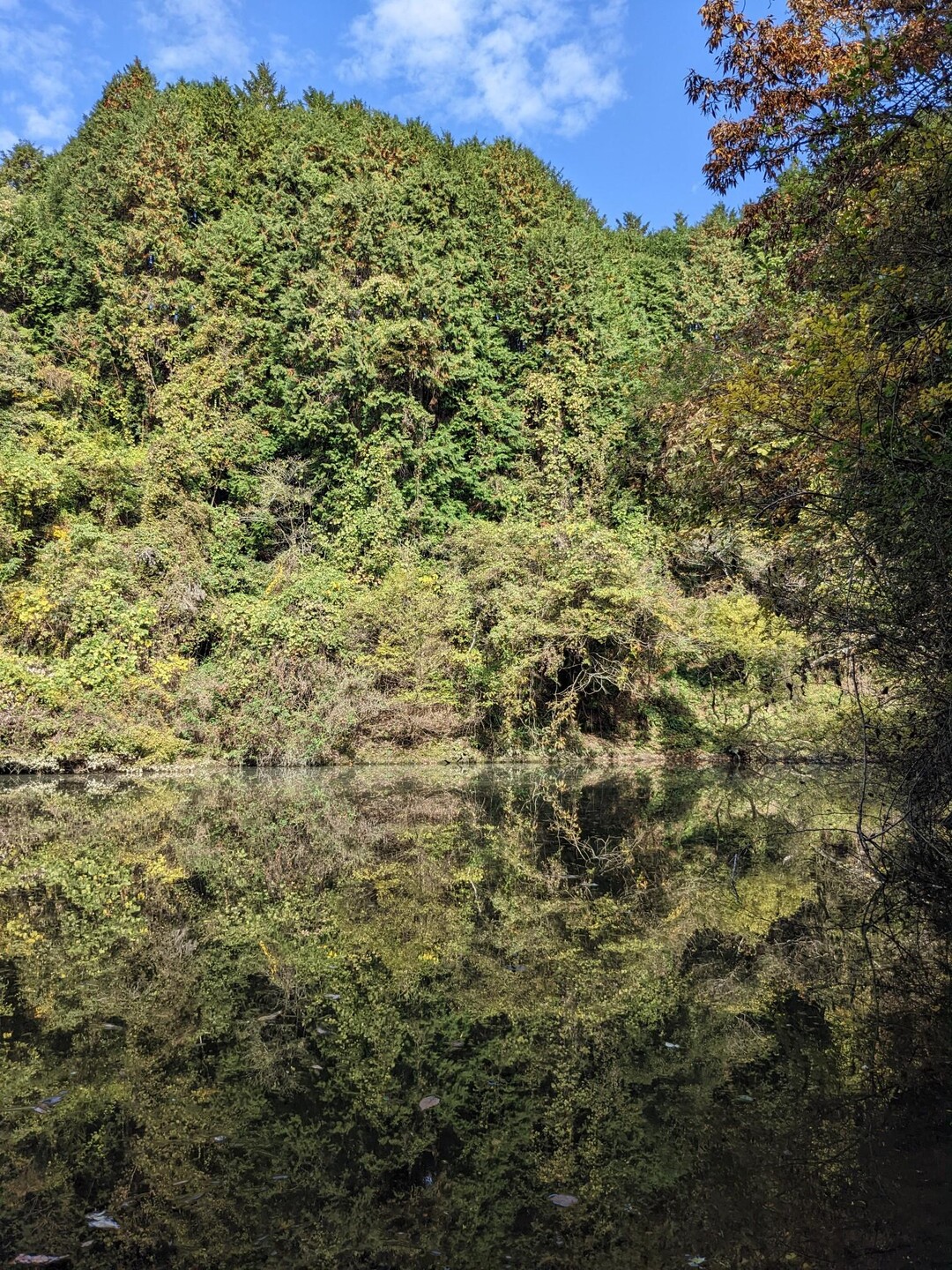 千光寺から気になる池へ / mkhkさんの高良山・発心山・鷹取山の活動データ | YAMAP / ヤマップ