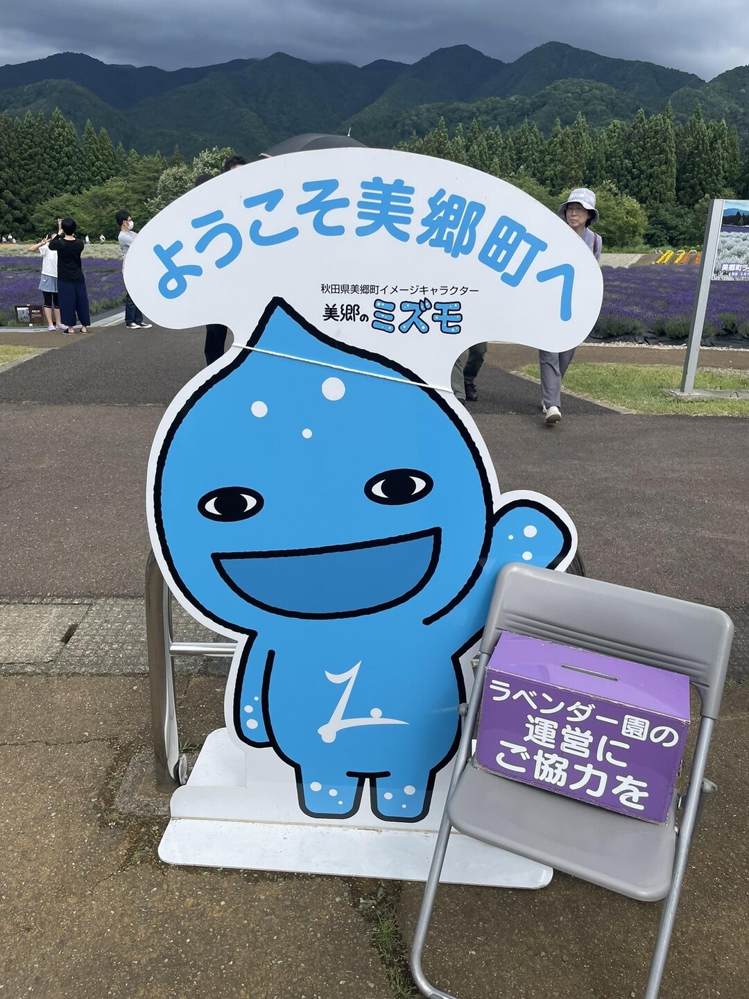 秋田県美郷町のラベンダー祭り / じゅんぴぃさんのモーメント | YAMAP / ヤマップ