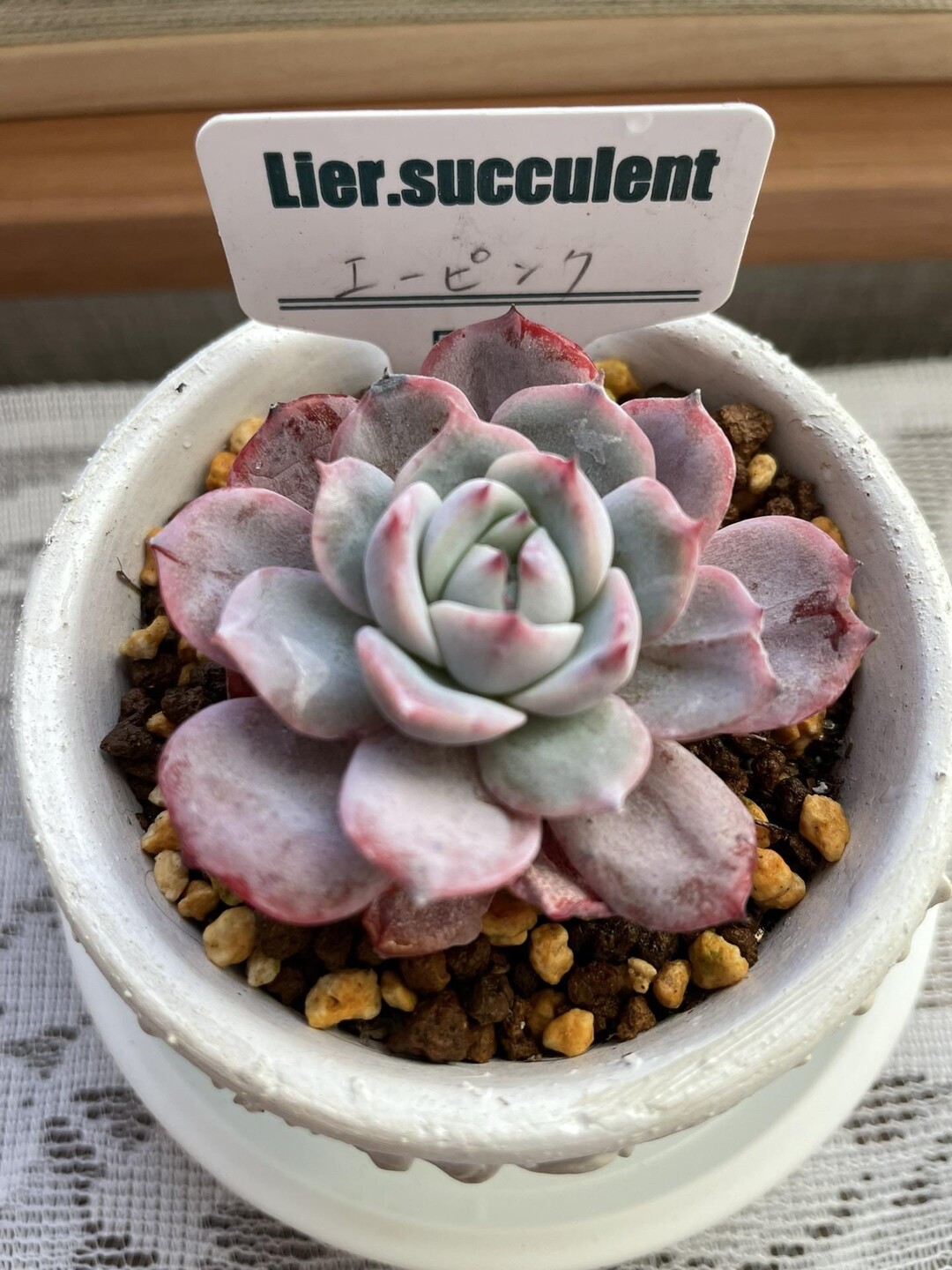 趣味の世界" 右は二月中旬、左側は今日 ... / よっしー3110さんのモーメント | YAMAP / ヤマップ