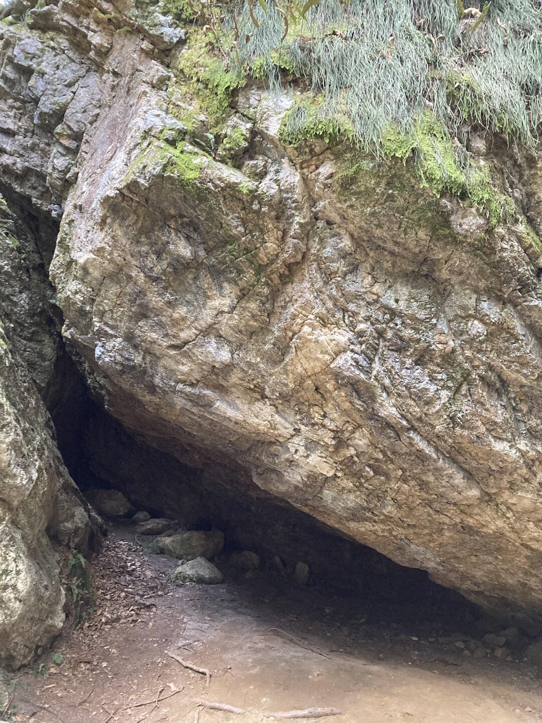 今日は三重の岩場でした。 指皮に穴空いた... / TQさんのモーメント | YAMAP / ヤマップ