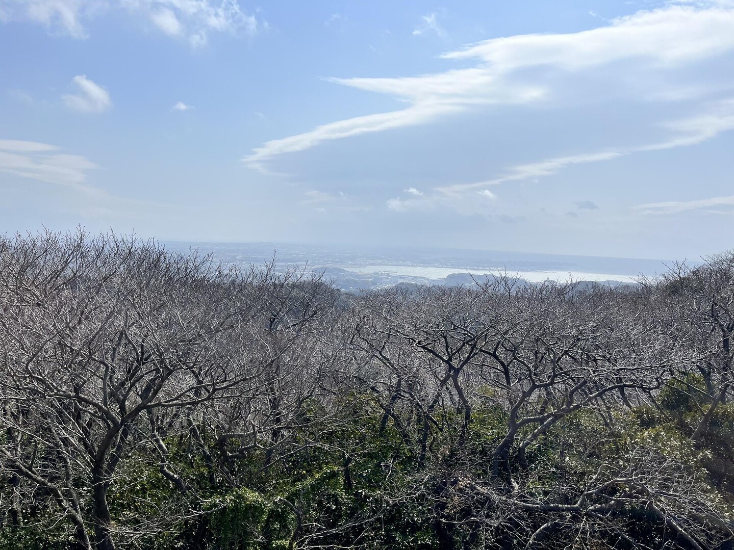 大楠山 / J Osawaさんの大楠山・武山・三浦富士の活動データ | YAMAP / ヤマップ