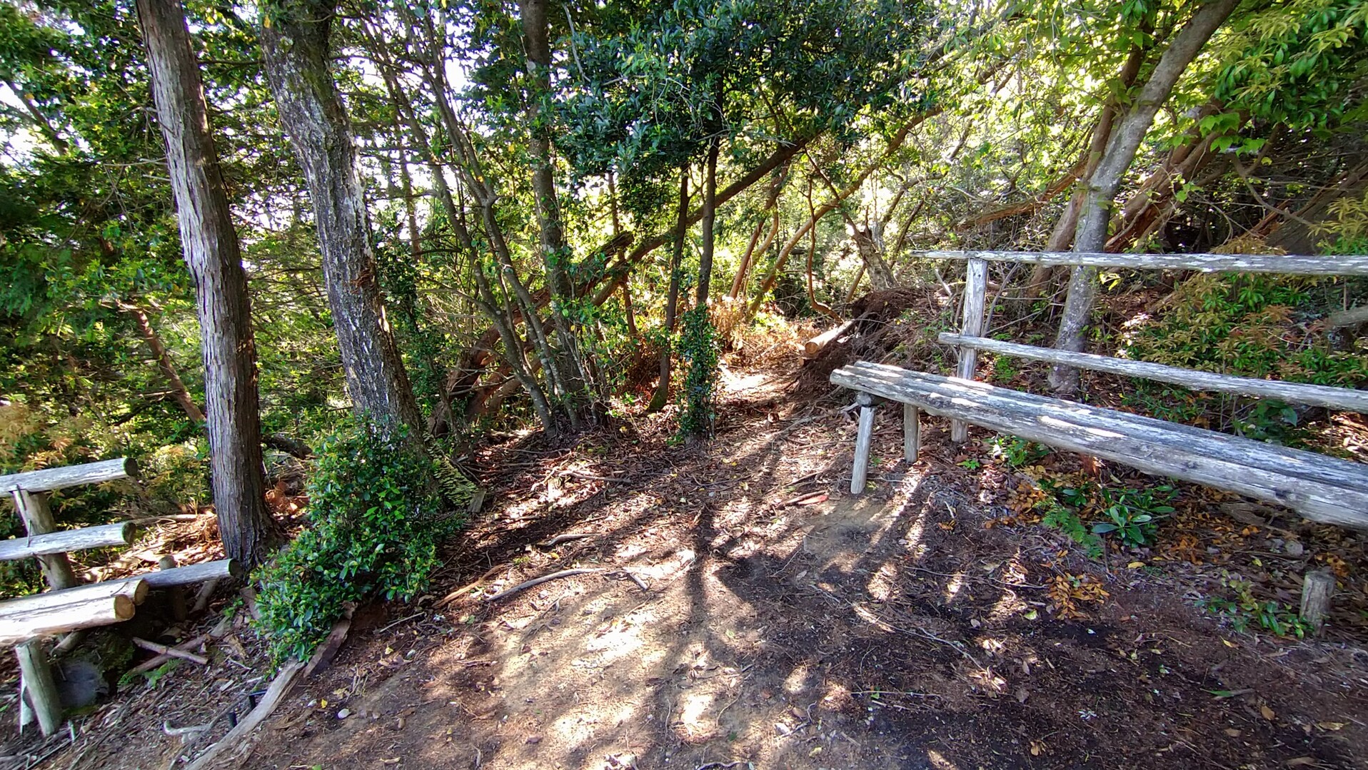 kame11さんの投稿したフィールドメモ | YAMAP / ヤマップ