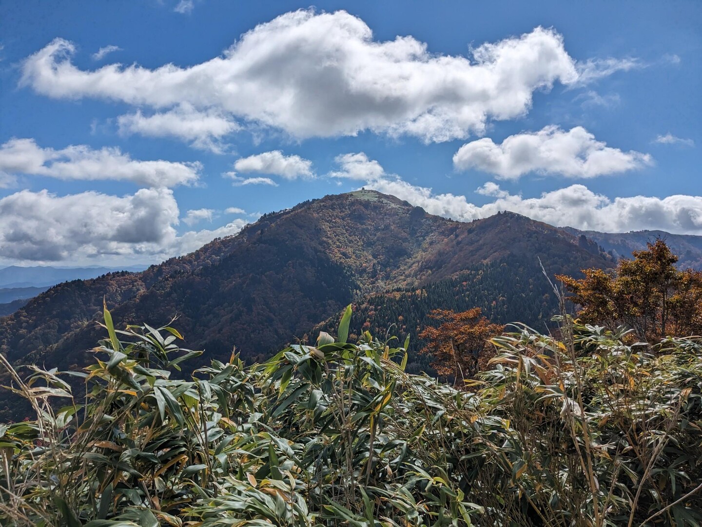 氷ノ山 『ぶん廻し』 / mettaさんの氷ノ山（須賀ノ山）・鉢伏山・瀞川山の活動データ | YAMAP / ヤマップ