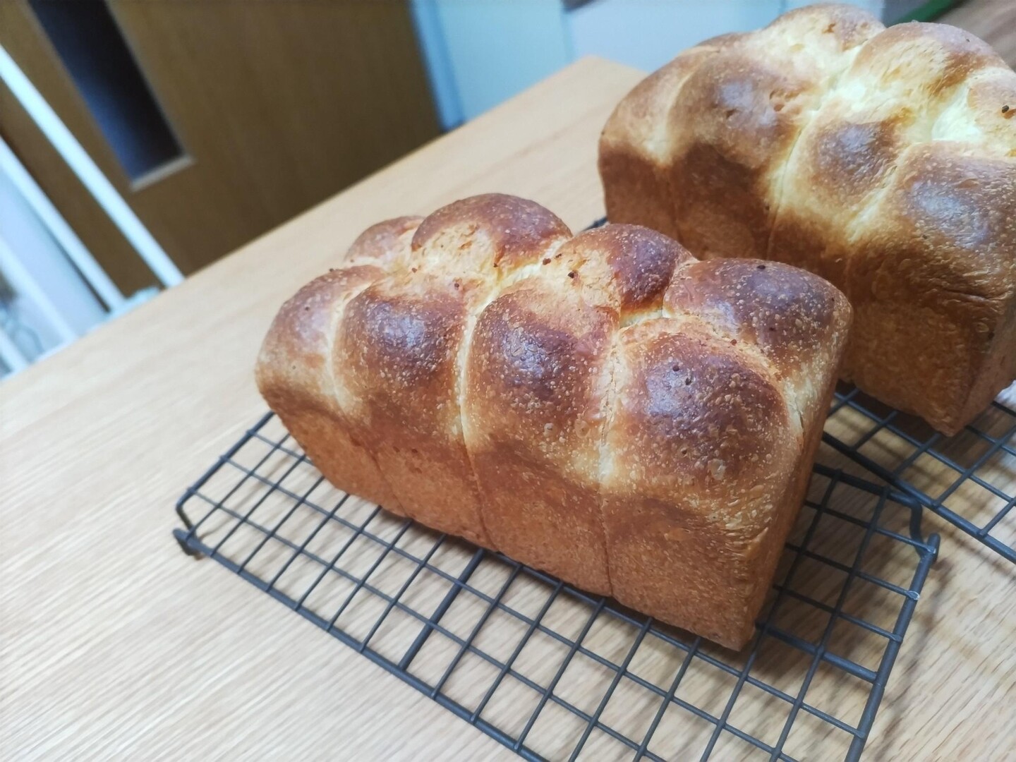 先日の天然酵母のパン教室☺️ ブリオッシ... / おだや〜p(^-^)qさんのモーメント | YAMAP / ヤマップ