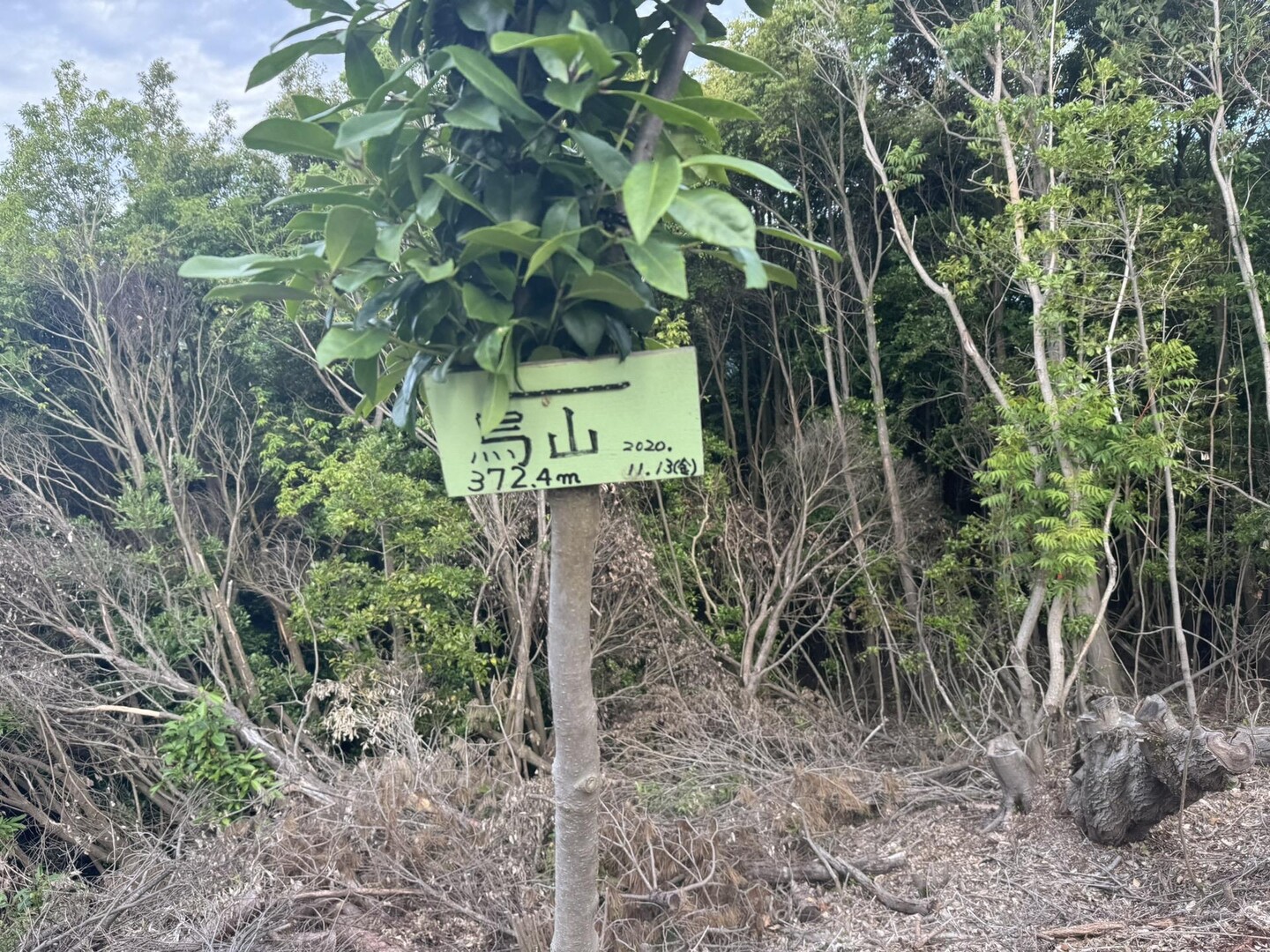 豊田④ 烏山🐦‍⬛⛰️ / koma_xさんの下関市（豊田町）の活動データ | YAMAP / ヤマップ