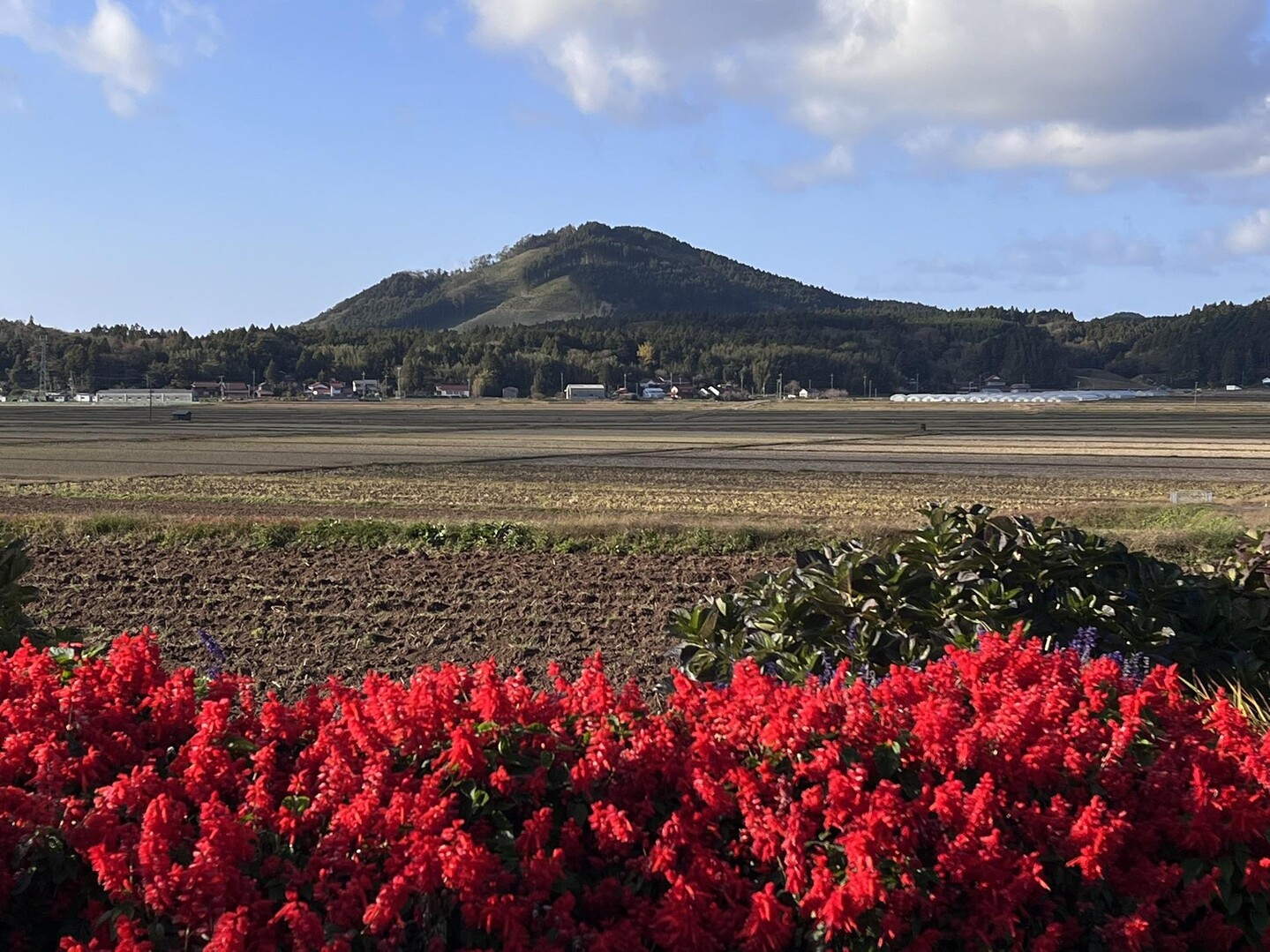 高牟礼山 ソロ / まにゃ？さんの犬鳴山の活動データ | YAMAP / ヤマップ