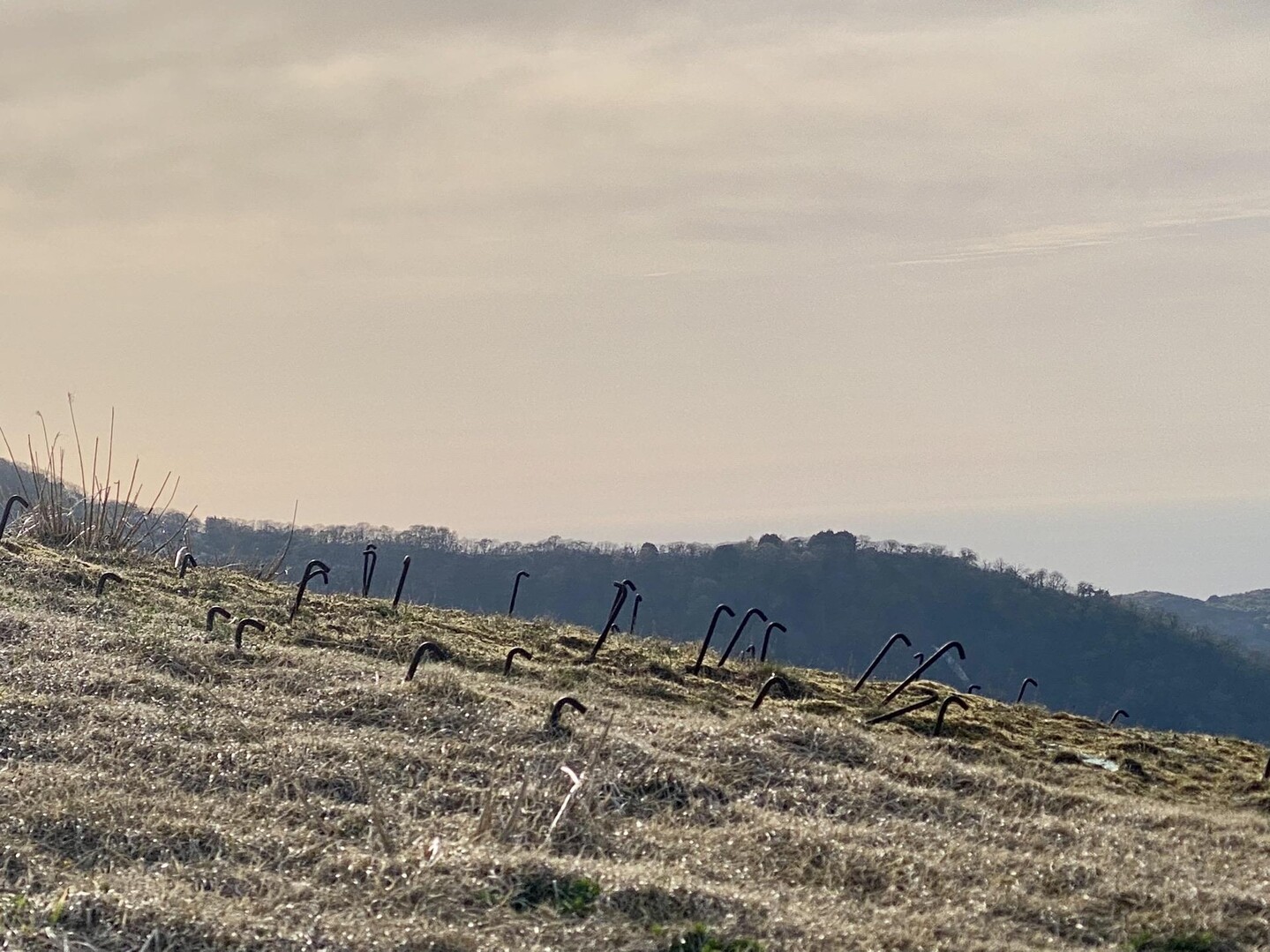 佐渡縦走 白瀬バス停より金剛山経由で金北山より白雲台 / MTCさんの佐渡島の活動データ | YAMAP / ヤマップ