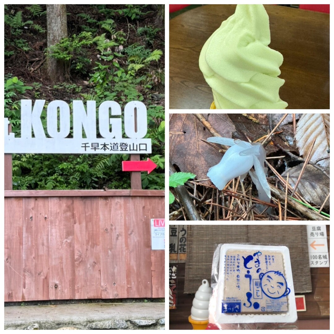 金剛山 / 富田林のまささんの葛城修験エリアマップ（金剛山周辺）の活動データ | YAMAP / ヤマップ