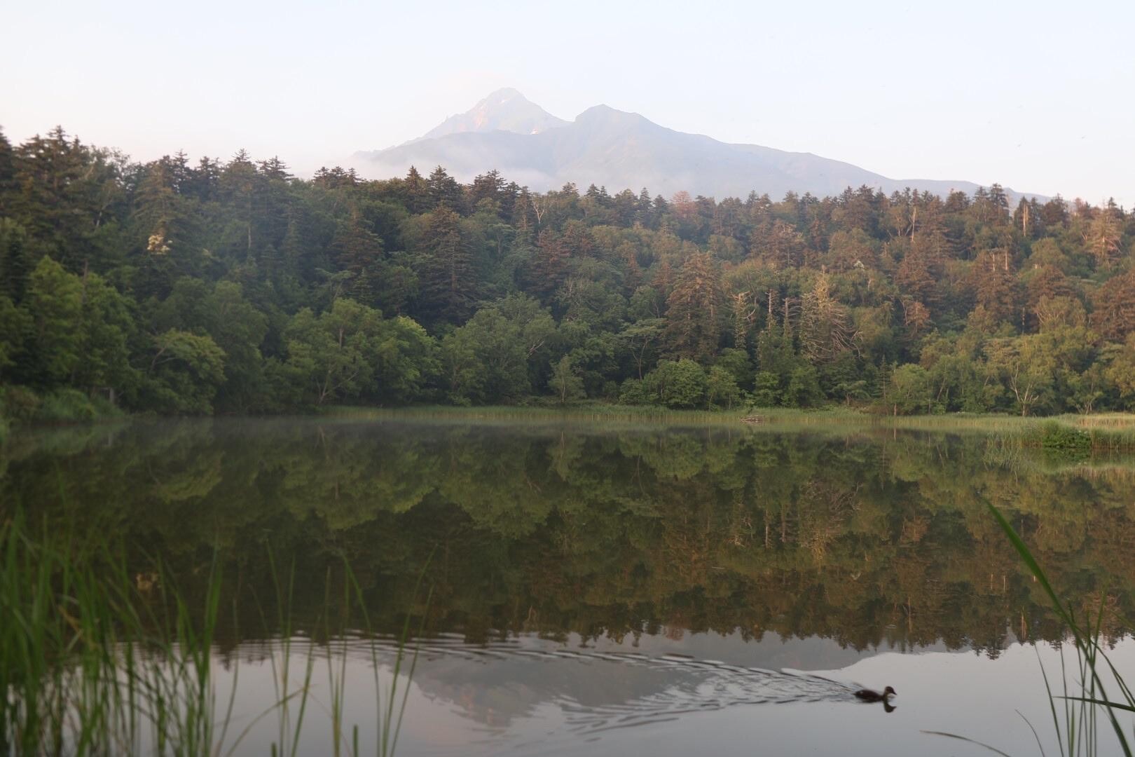 姫沼散歩 / yuki yamaさんの利尻山（利尻富士）の活動データ | YAMAP / ヤマップ