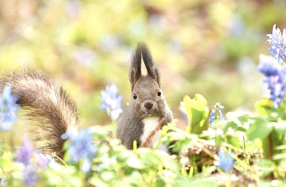 kao___87 ¨̮のページ | YAMAP / ヤマップ