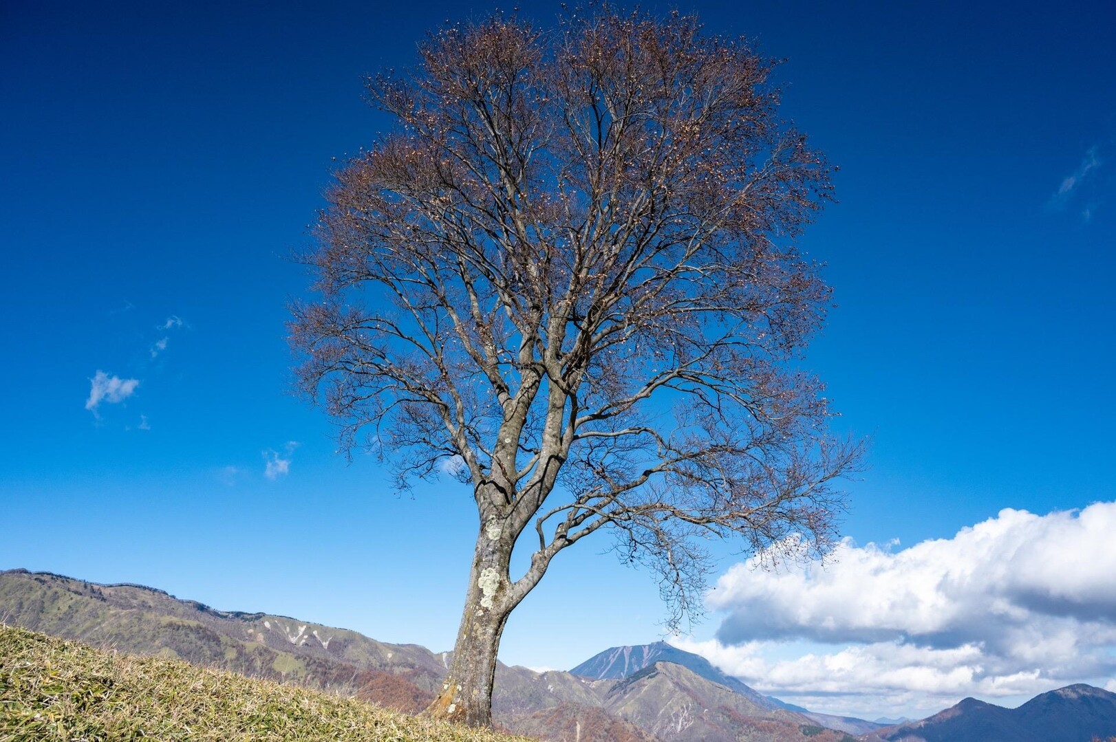 中倉山 / kiyasseさんの皇海山・袈裟丸山・庚申山の活動データ | YAMAP / ヤマップ