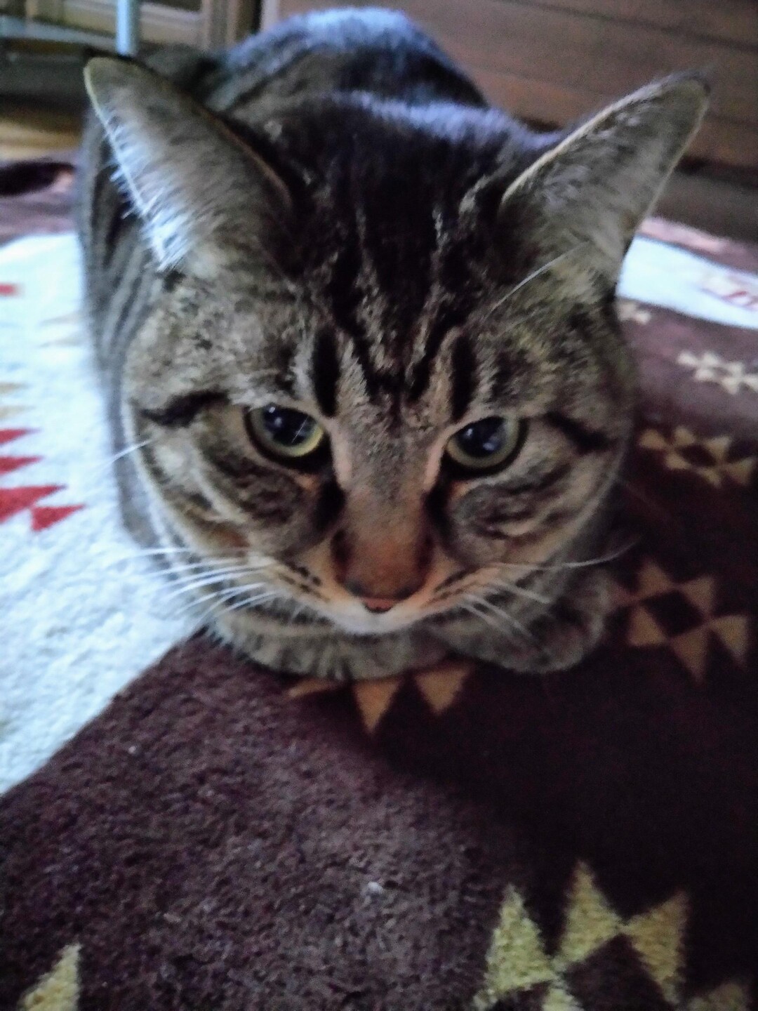 KANのページ | YAMAP / ヤマップ