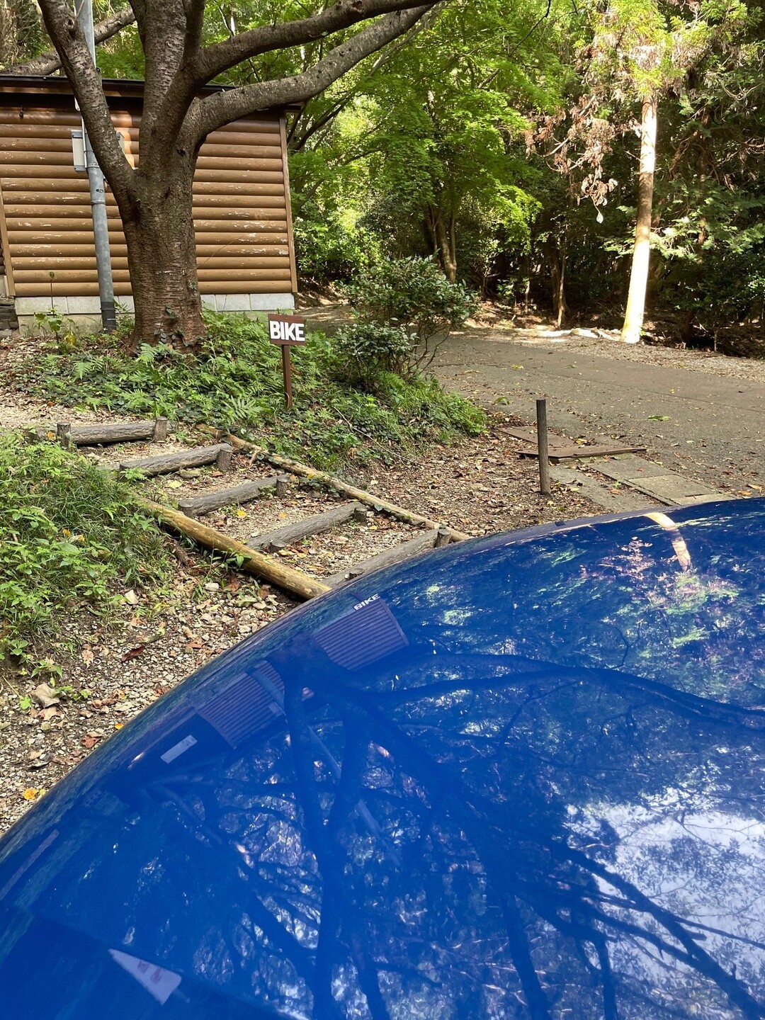 カービーさんの投稿したフィールドメモ | YAMAP / ヤマップ