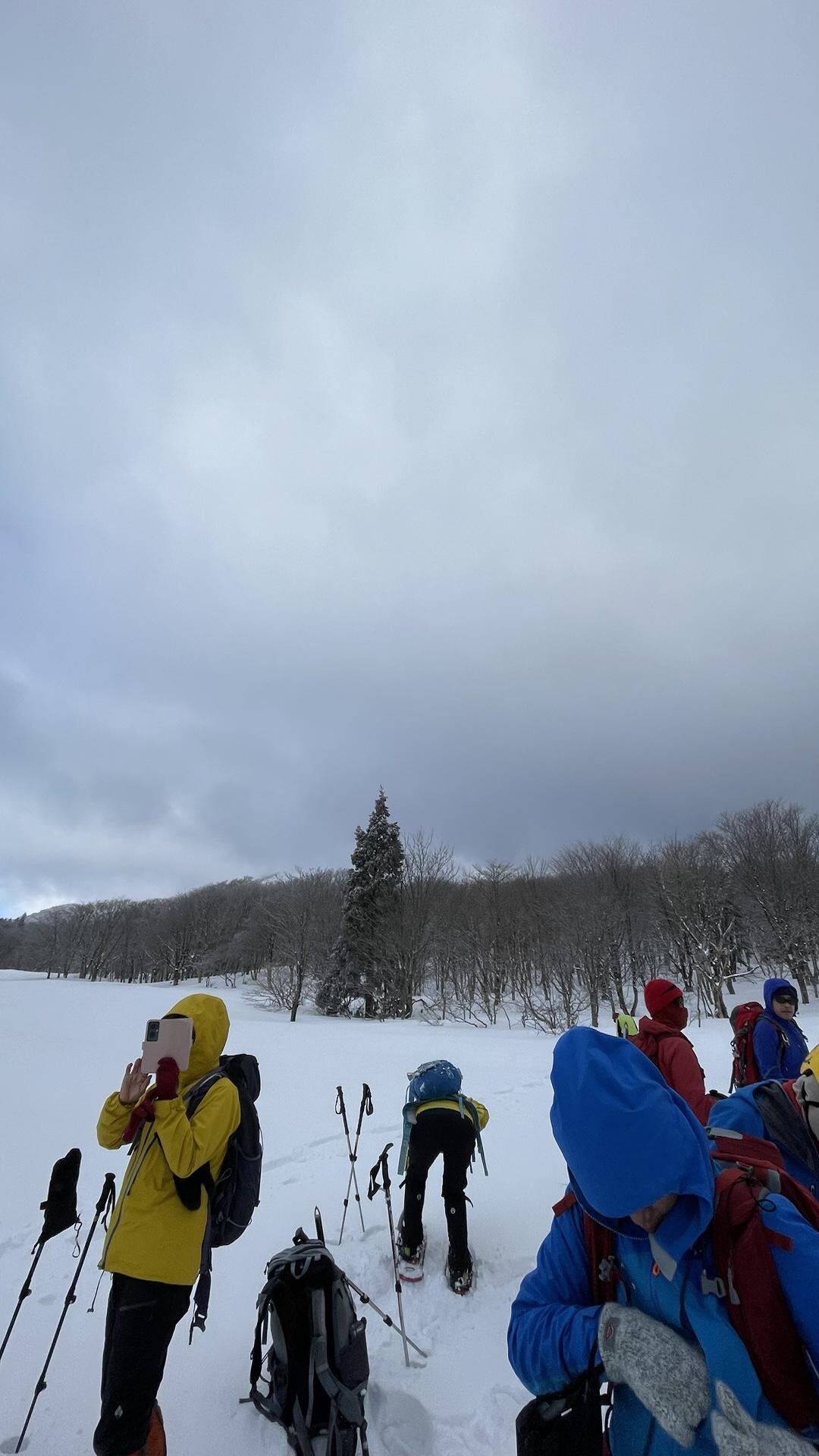 雪洞泊‼️してきました💓 2025.1... / riwonさんのモーメント | YAMAP / ヤマップ