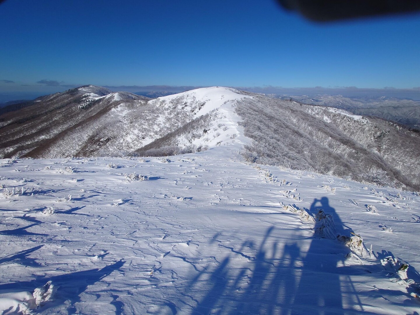 滝神社への下見トレック2 滝山へトレースを付けに⋯ / cafe_rさんの那岐山・滝山・広戸仙の活動データ | YAMAP / ヤマップ