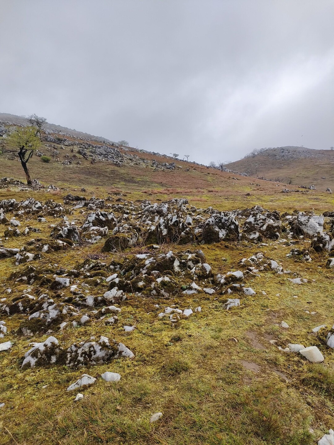 経塚山・霊仙山・霊仙山最高点・南霊岳 / myayuchiさんの霊仙山の活動データ | YAMAP / ヤマップ