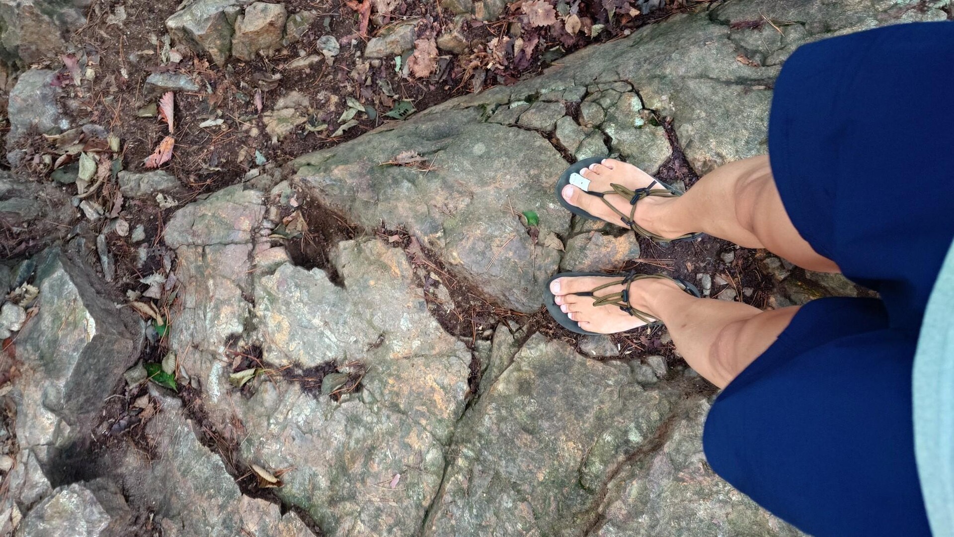 お寝坊撃沈 30分登頂 / ta2さんの鳴神山・吾妻山の活動日記 | YAMAP / ヤマップ