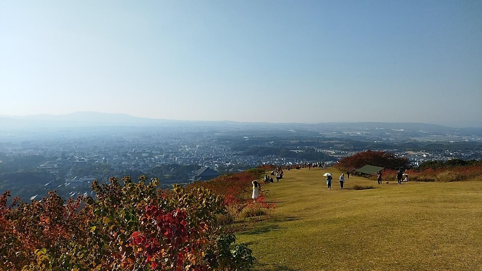若草山・芳山・高円山-2023-11-03 / Saradin leeさんの若草山・芳山・高円山の活動データ | YAMAP / ヤマップ