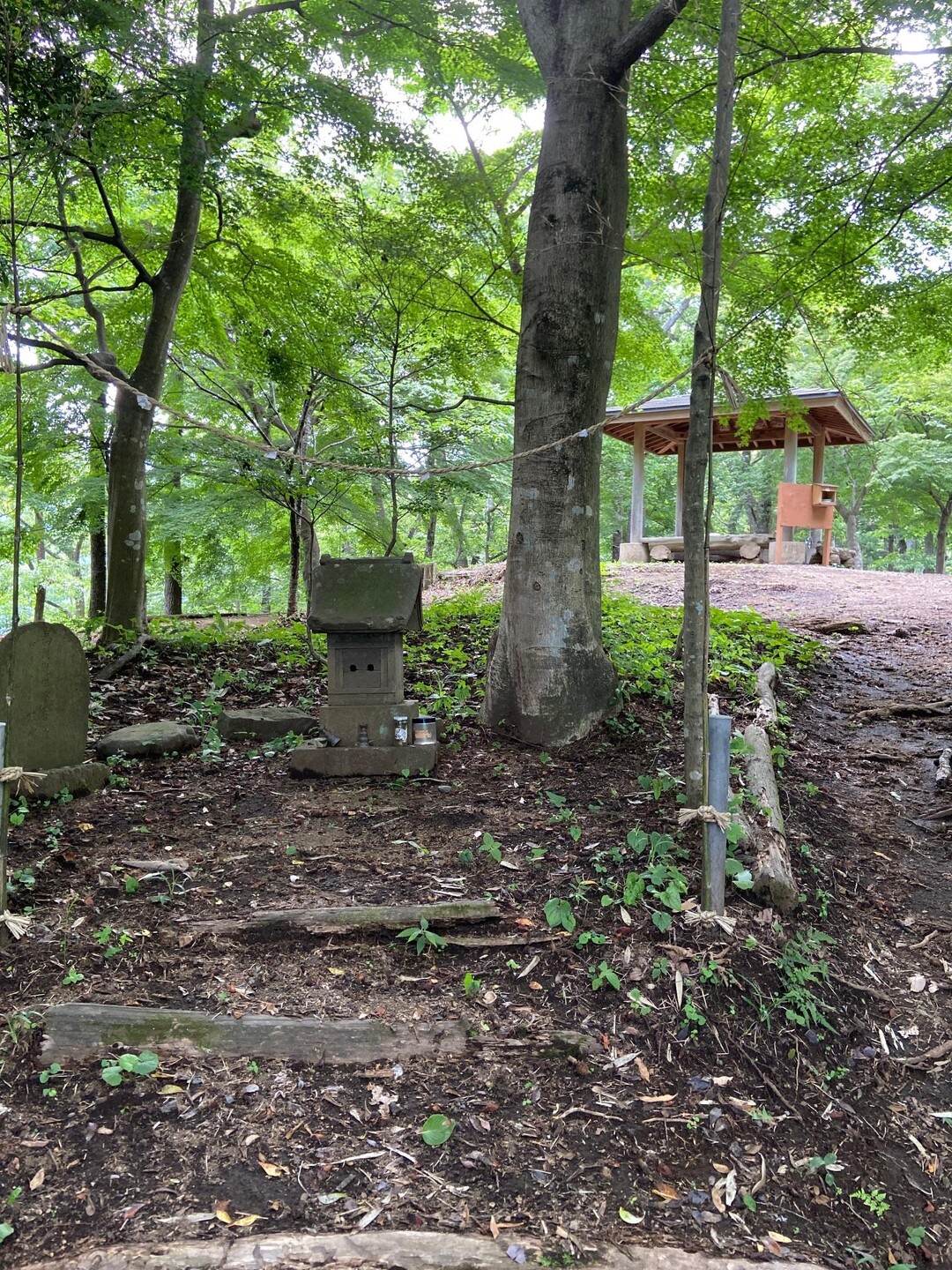 頭高山 / goqooさんの大山の活動データ | YAMAP / ヤマップ