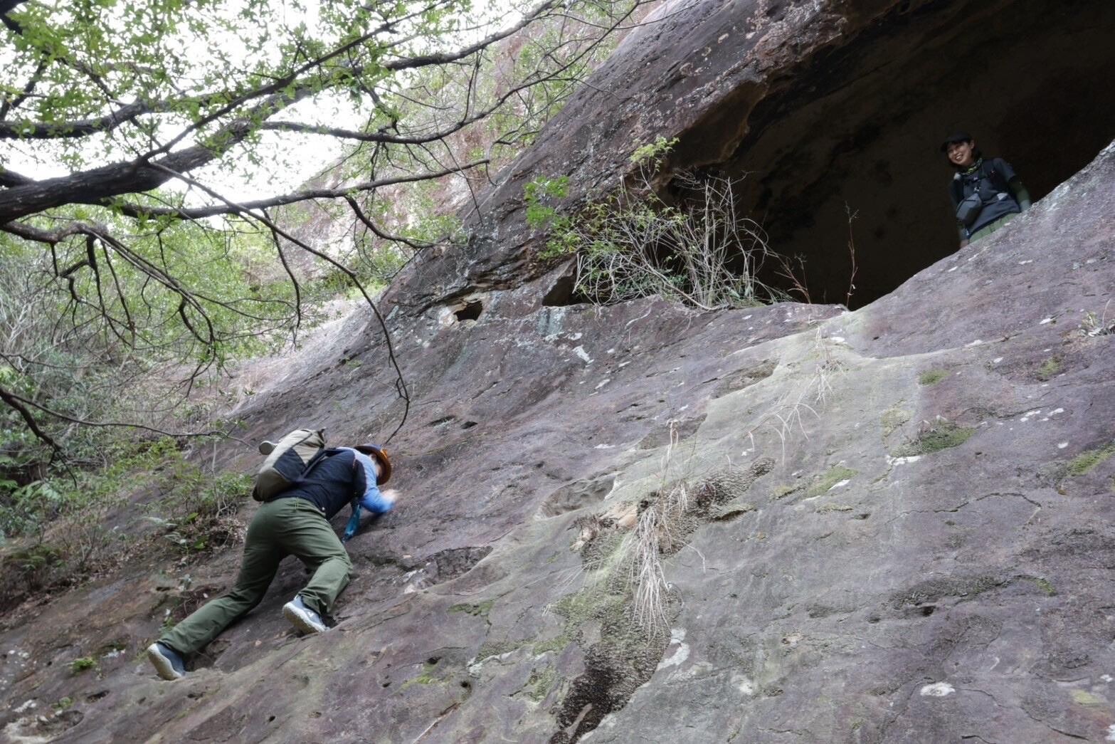 ERlii*さんの投稿したフィールドメモ | YAMAP / ヤマップ