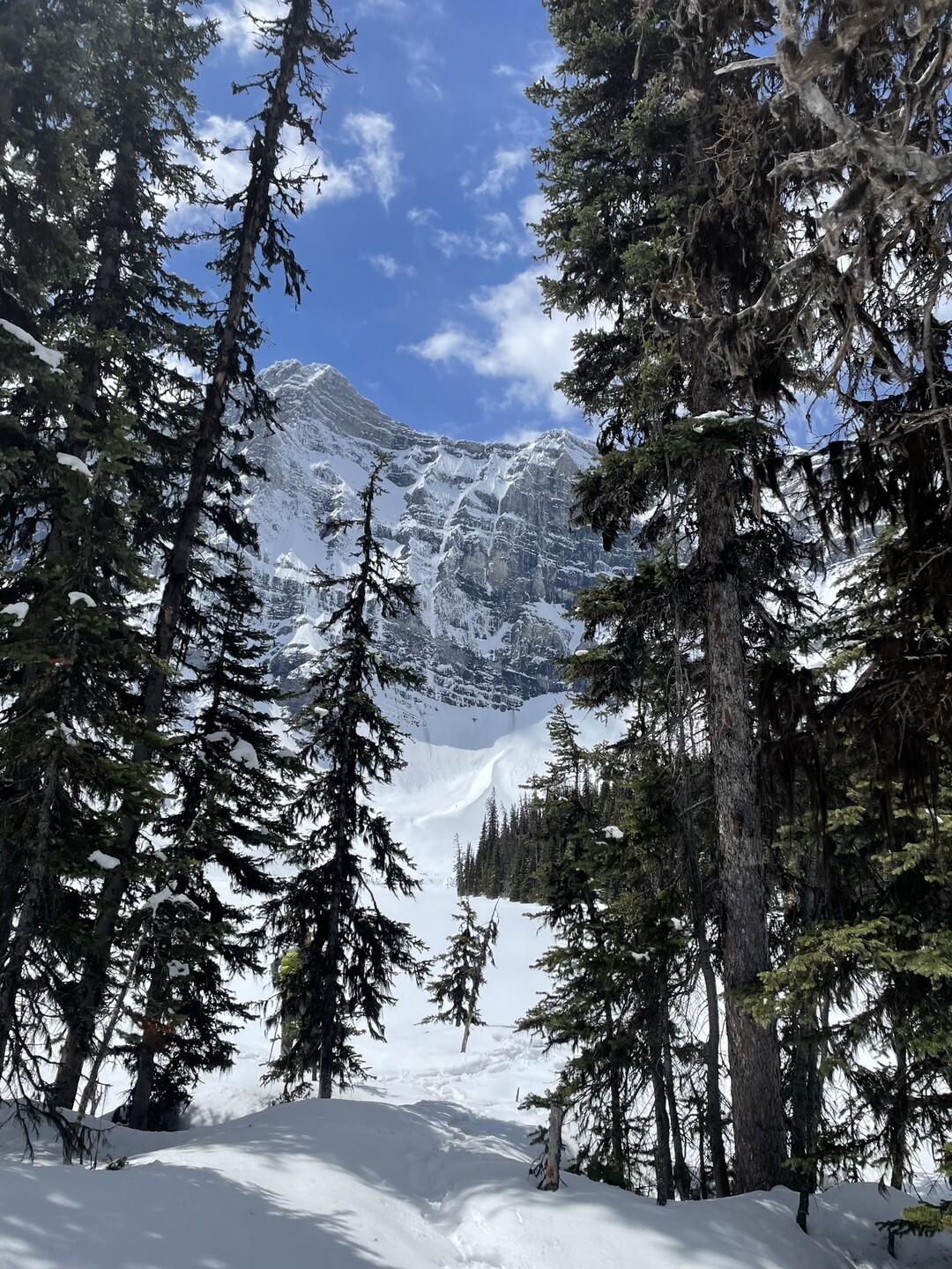 I climbed a mountain... / Sayo さんのモーメント | YAMAP / ヤマップ