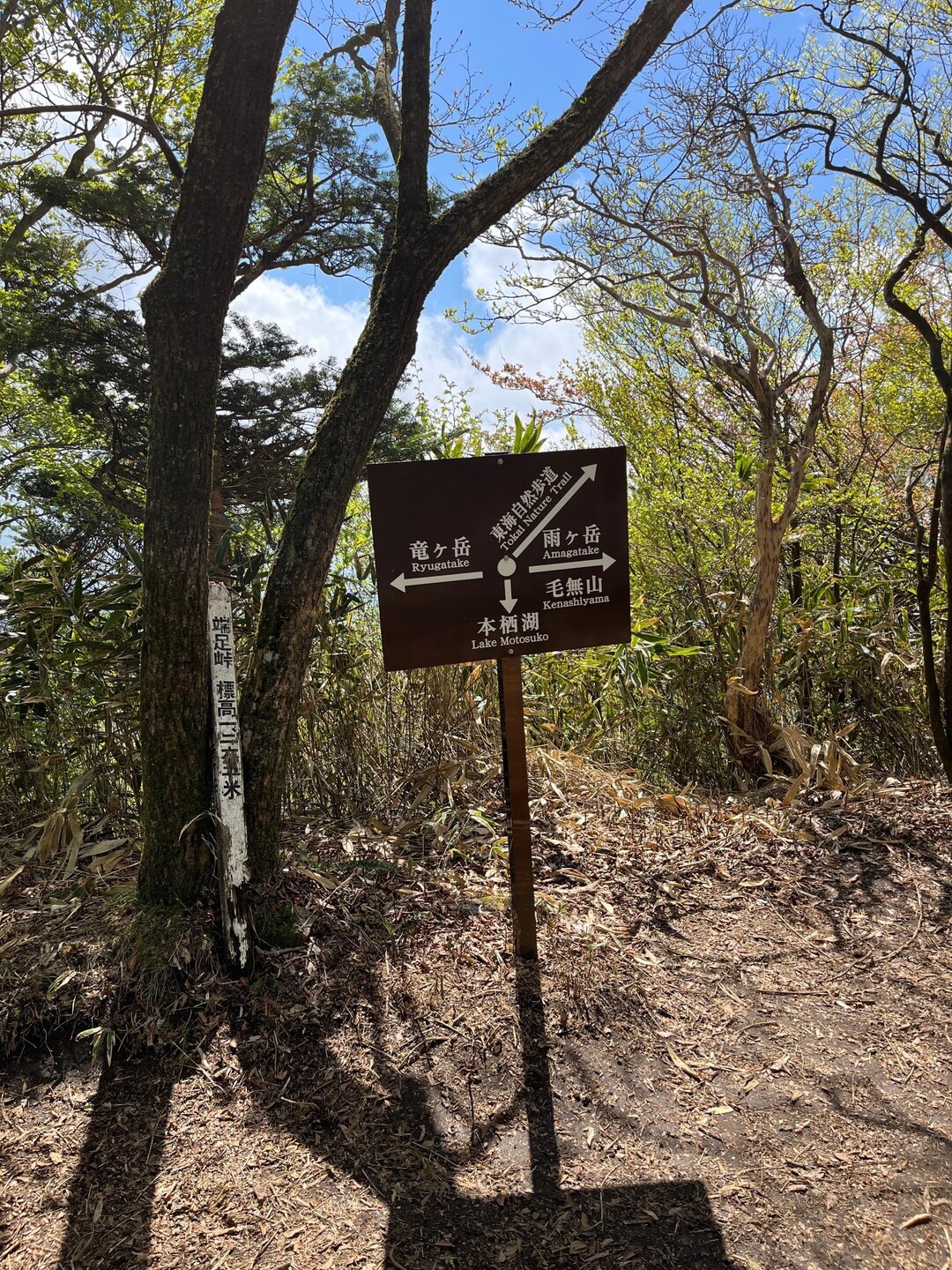 雨ヶ岳・竜ヶ岳 / konyan さんの毛無山・雨ヶ岳・竜ヶ岳の活動データ | YAMAP / ヤマップ