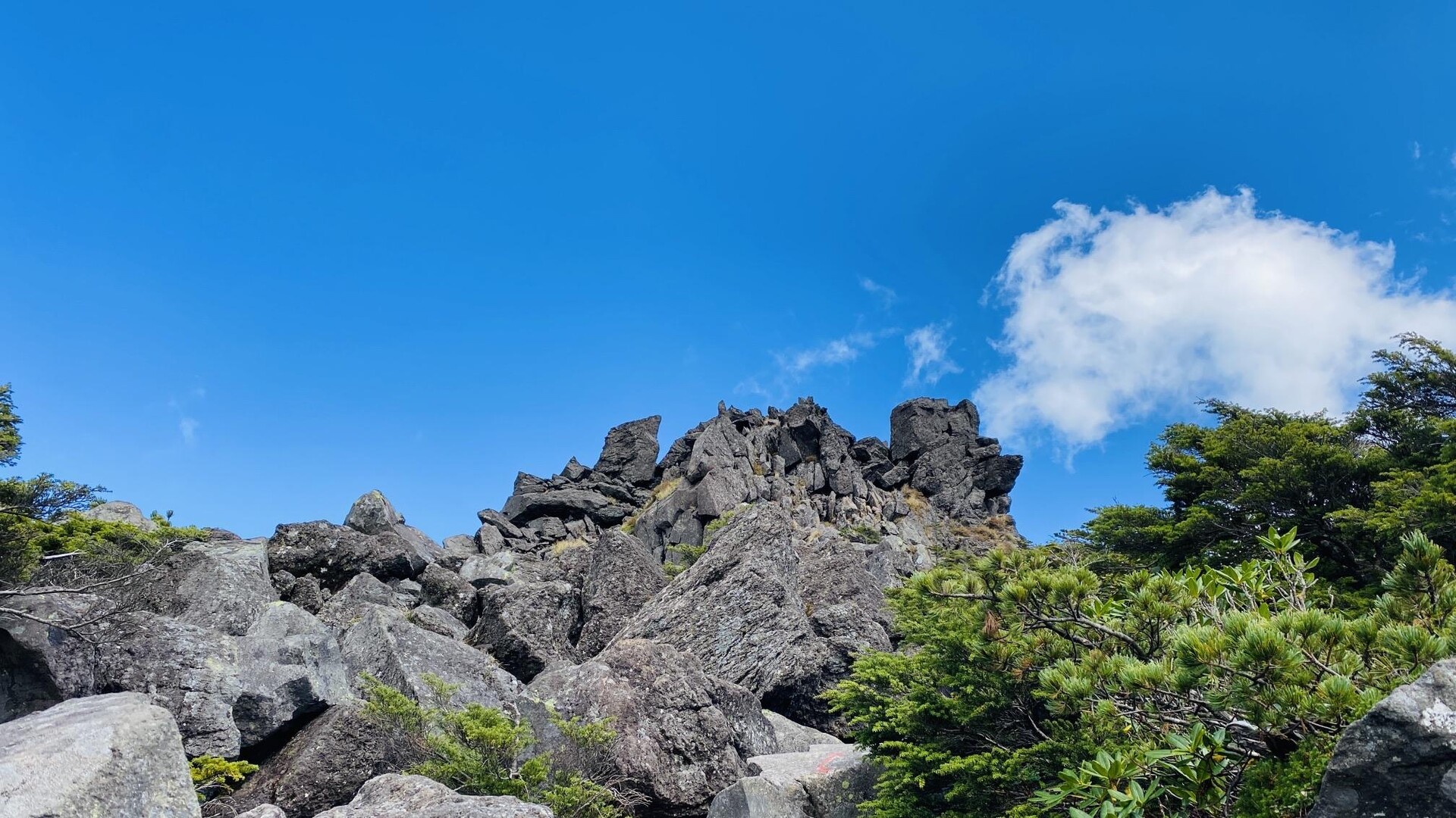 北横岳（南峰）・北横岳（北峰）・三ッ岳・雨池山 / たかゆき (88ヨイショ！）さんの蓼科山・横岳・縞枯山の活動データ | YAMAP / ヤマップ