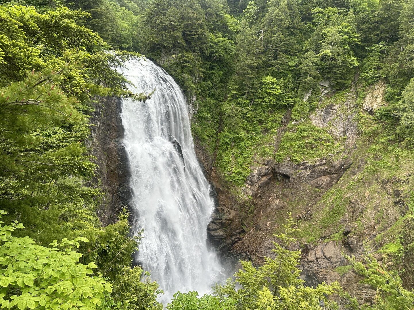 浅草2345で来た久しぶりの尾瀬 御池~鳩待峠 / sakuramtさんの尾瀬・燧ヶ岳の活動データ | YAMAP / ヤマップ