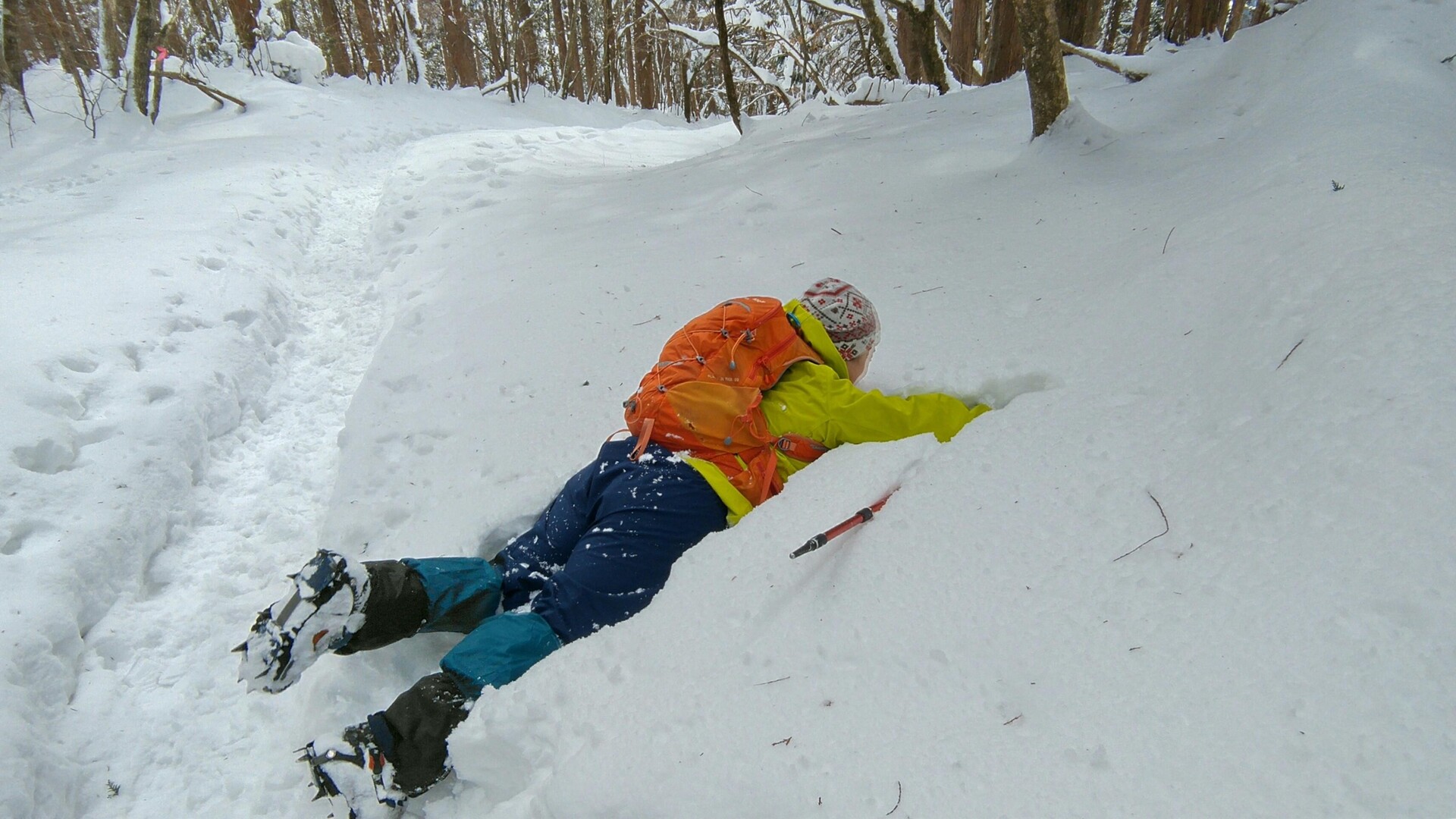 国見山 / hiroko-s さんの国見山の活動データ | YAMAP / ヤマップ