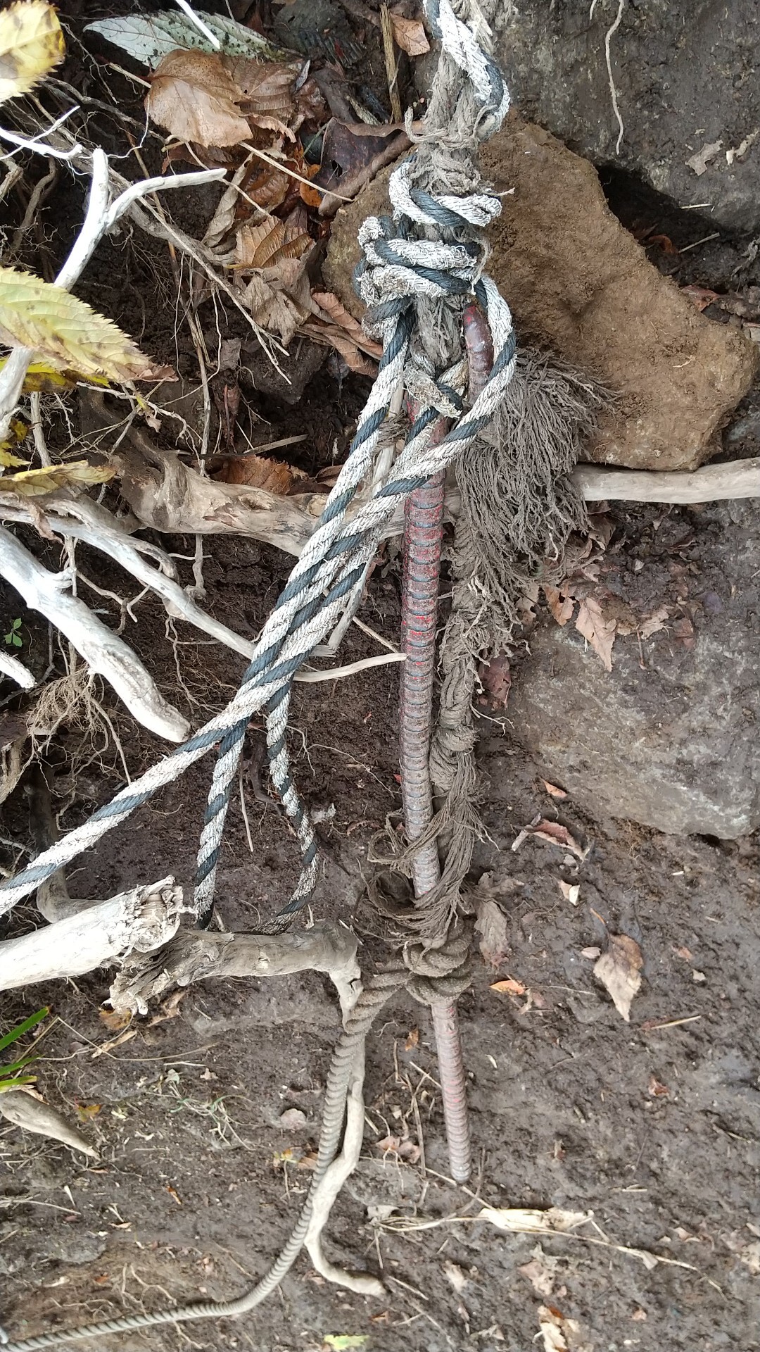 drumscoさんの投稿したフィールドメモ | YAMAP / ヤマップ