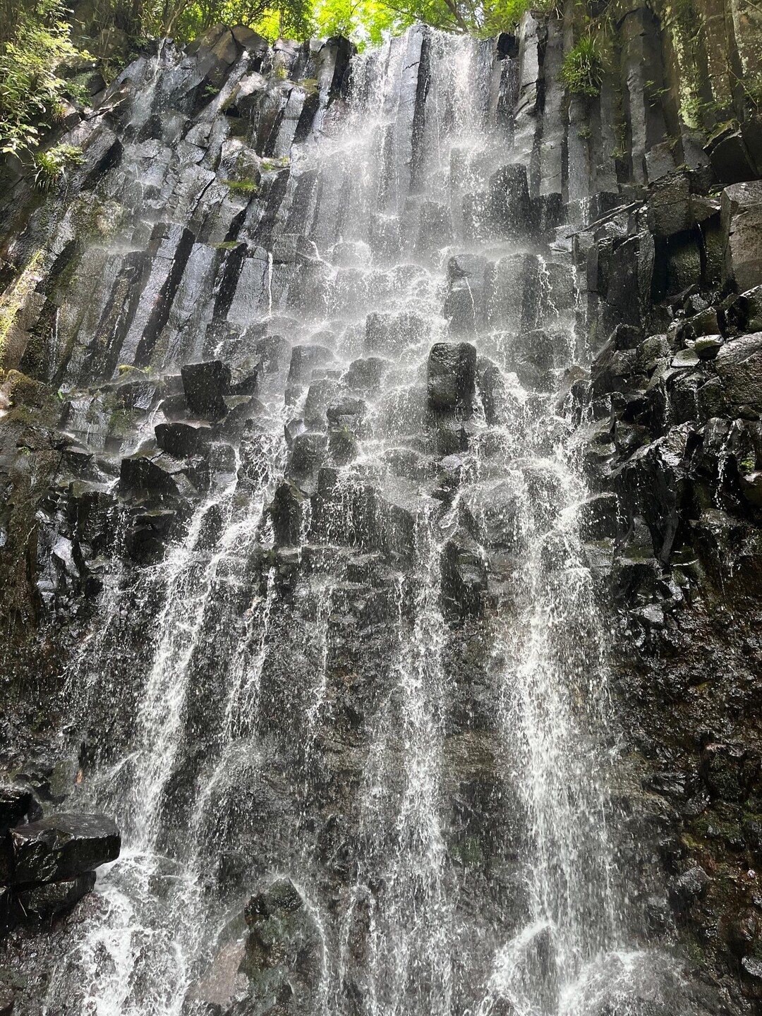 asamiさんの投稿したフィールドメモ | YAMAP / ヤマップ