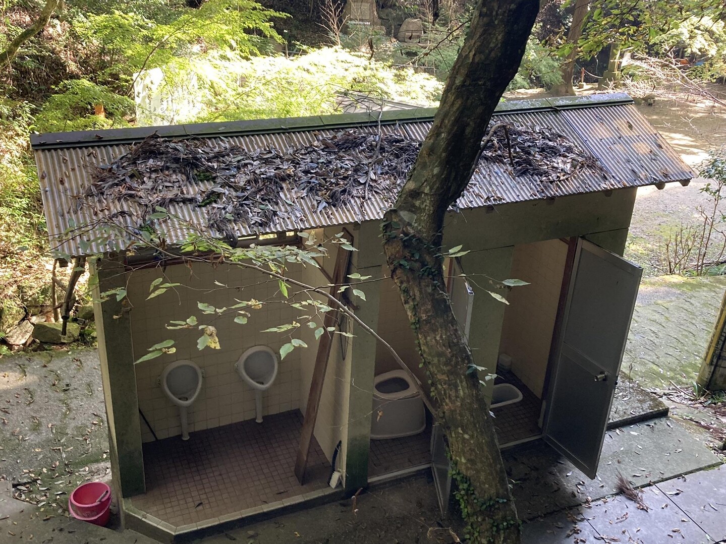 kazz309さんの投稿したフィールドメモ | YAMAP / ヤマップ