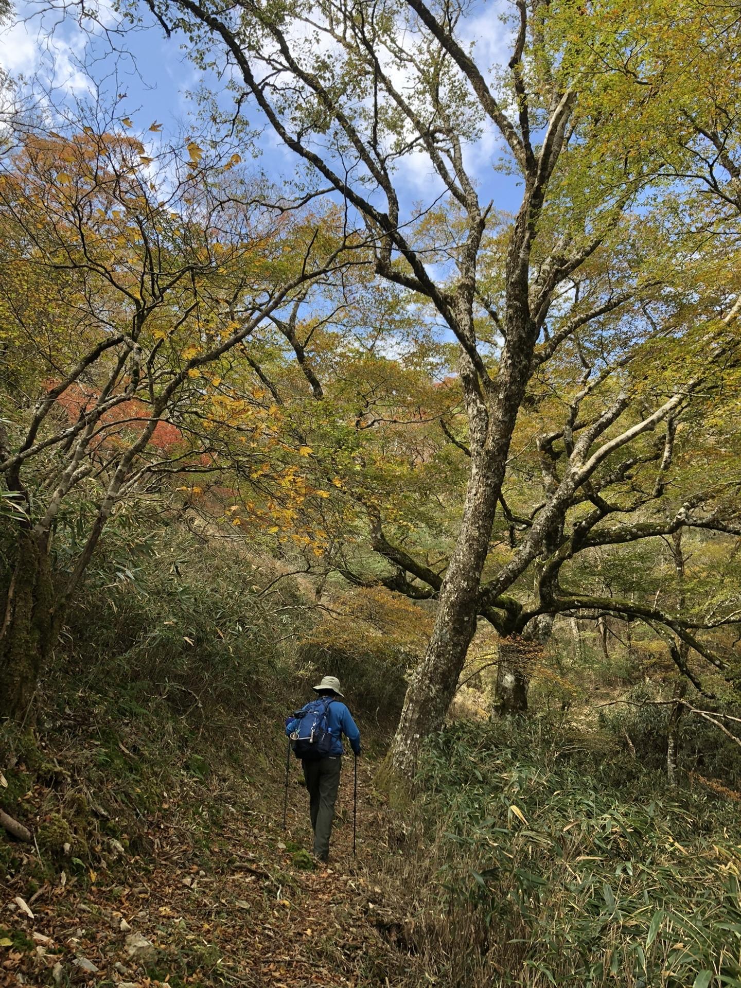 大星山 / ta3netさんの御在所山・大星山の活動データ | YAMAP / ヤマップ