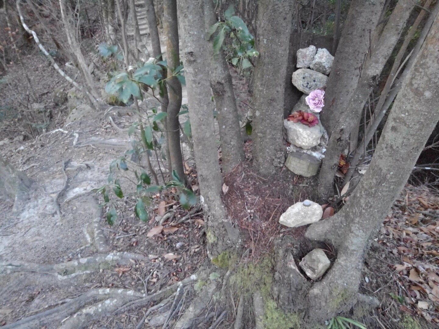 R6-6 猿投山 / nob3さんの猿投山・物見山の活動データ | YAMAP / ヤマップ