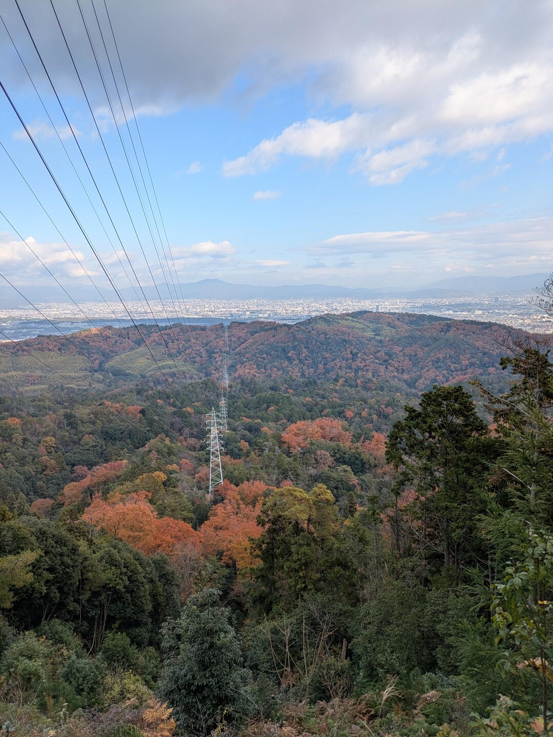 ポンポン山〜大沢山〜天王山縦走 / Riki さんのポンポン山・釈迦岳・小塩山・若山の活動データ | YAMAP / ヤマップ