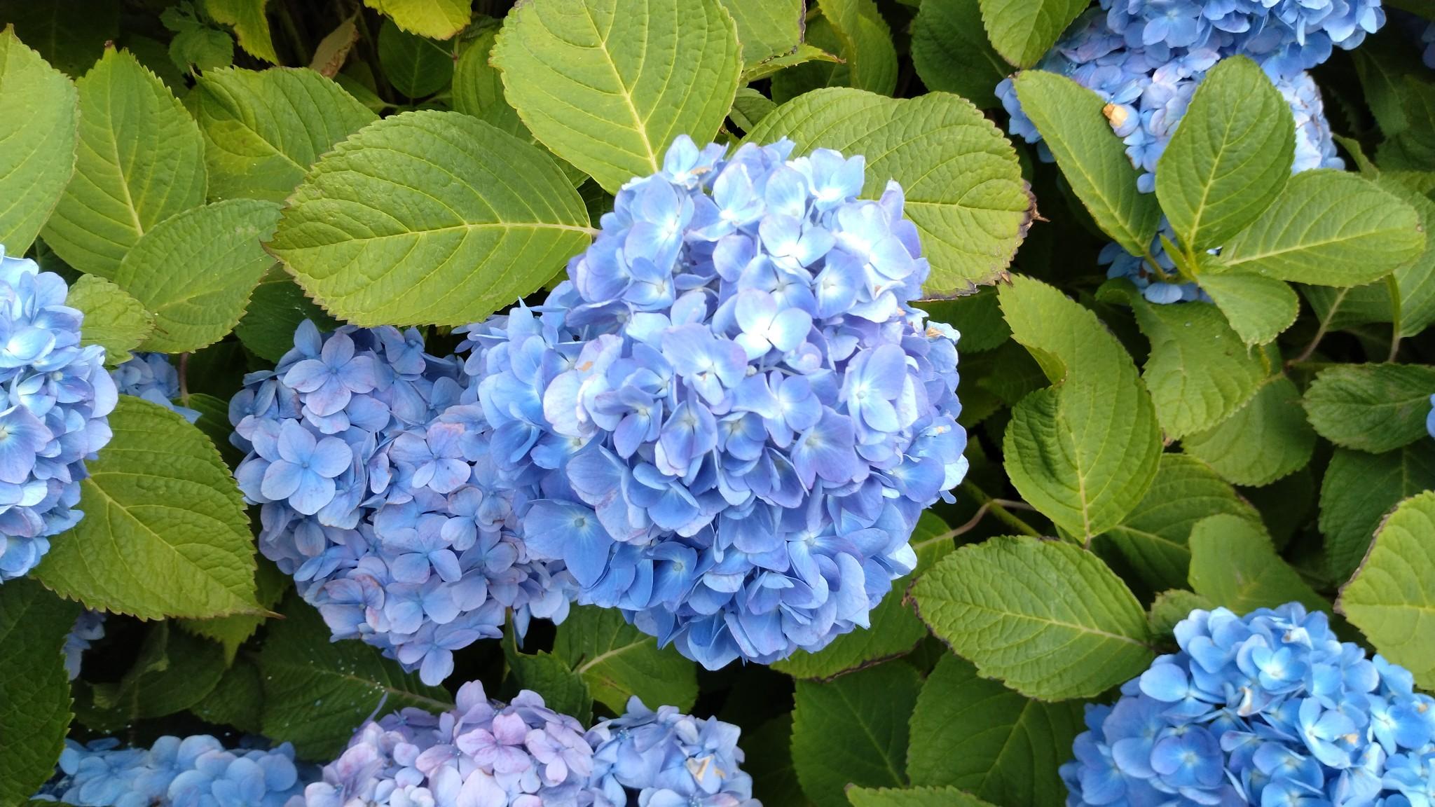 茨城県日立市 6/17今日は暑かったので... / type52さんのモーメント | YAMAP / ヤマップ
