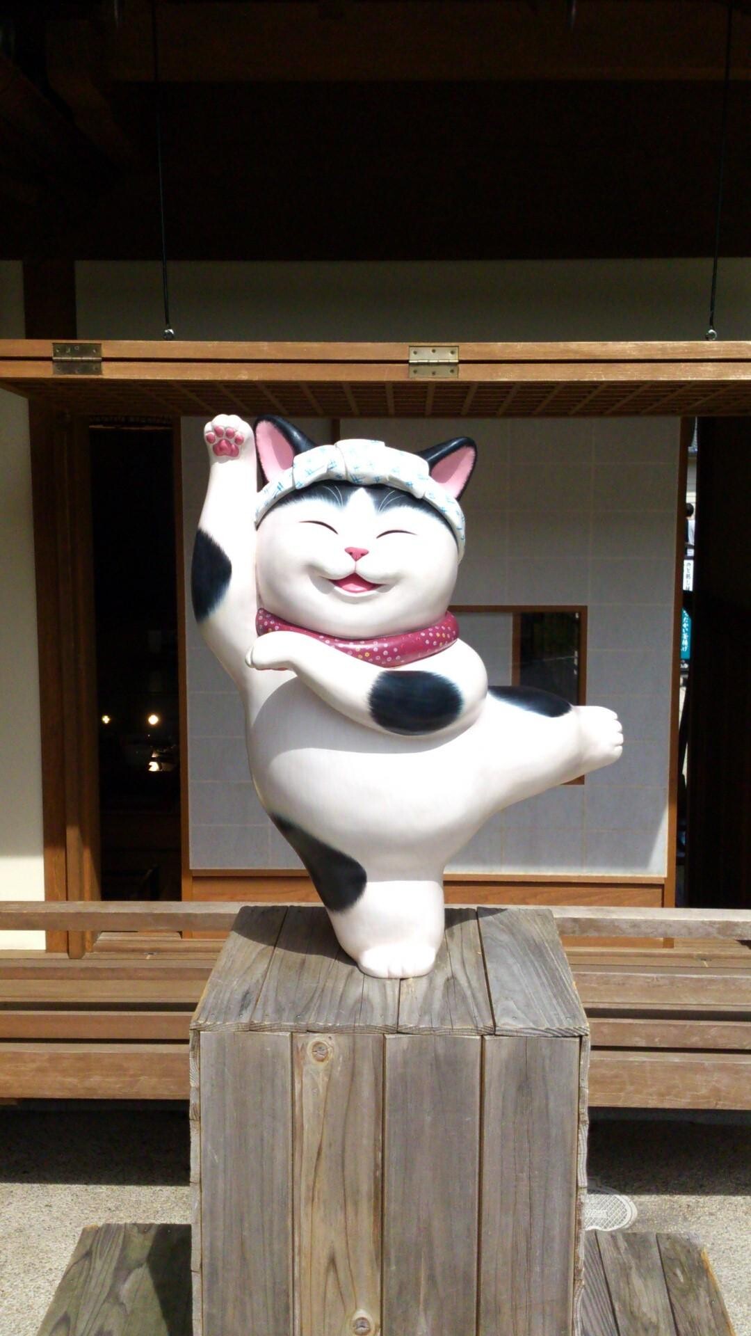 First九のページ | YAMAP / ヤマップ