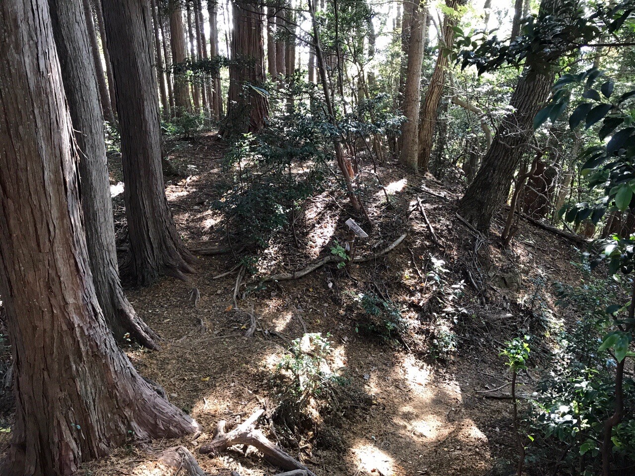 KAZさんの投稿したフィールドメモ | YAMAP / ヤマップ