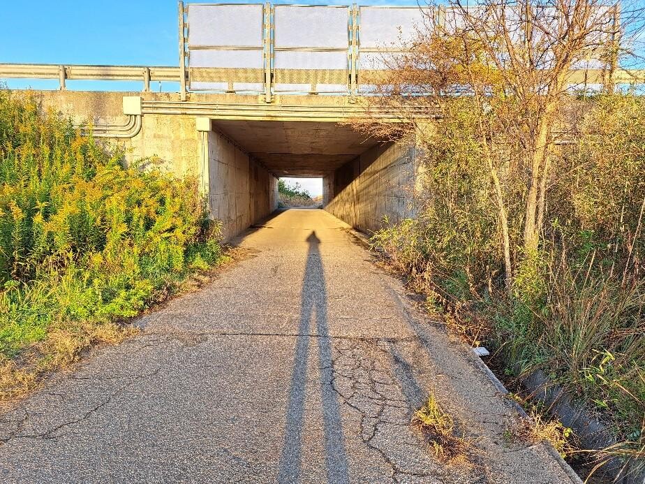 高松「里海館」から大平山散歩コ－ス / tottinさんの宝達山の活動データ | YAMAP / ヤマップ