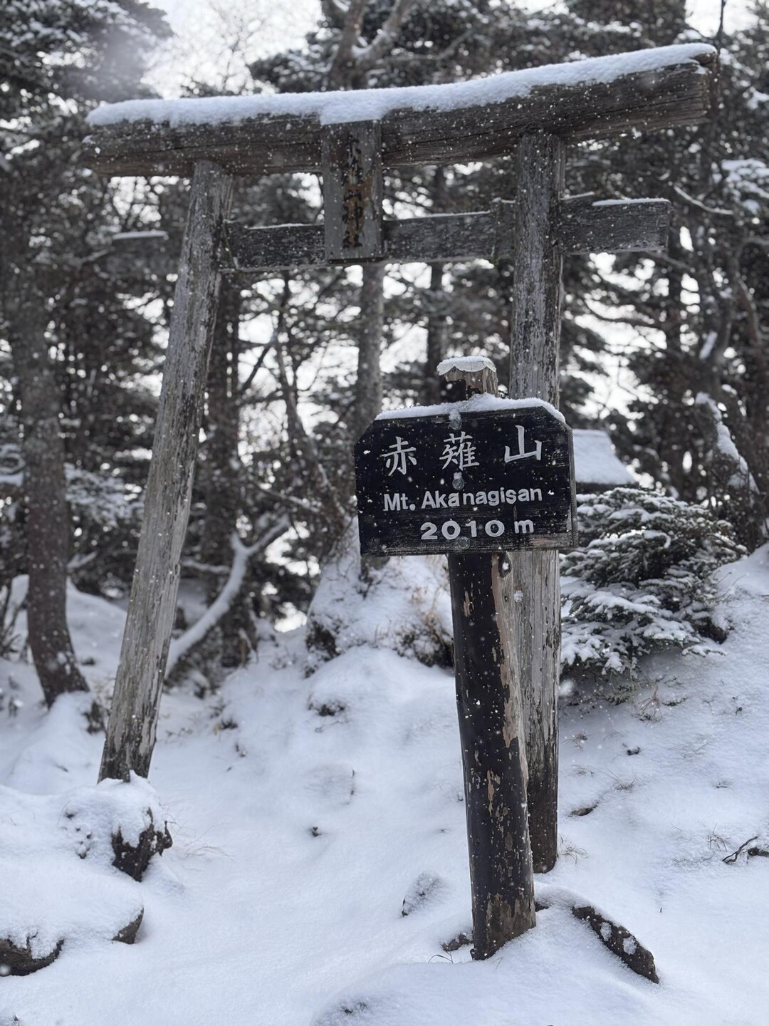 小丸山・赤薙山・一里ヶ曽根独標 / weixin liuさんの女峰山・赤薙山・大真名子山の活動データ | YAMAP / ヤマップ