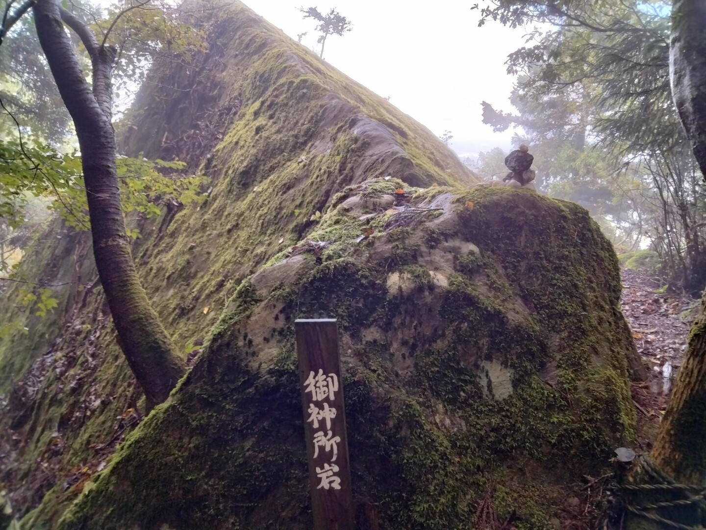 #英彦山巡礼路 坂本八幡宮 竈門神社 ... / cocoさんのモーメント | YAMAP / ヤマップ