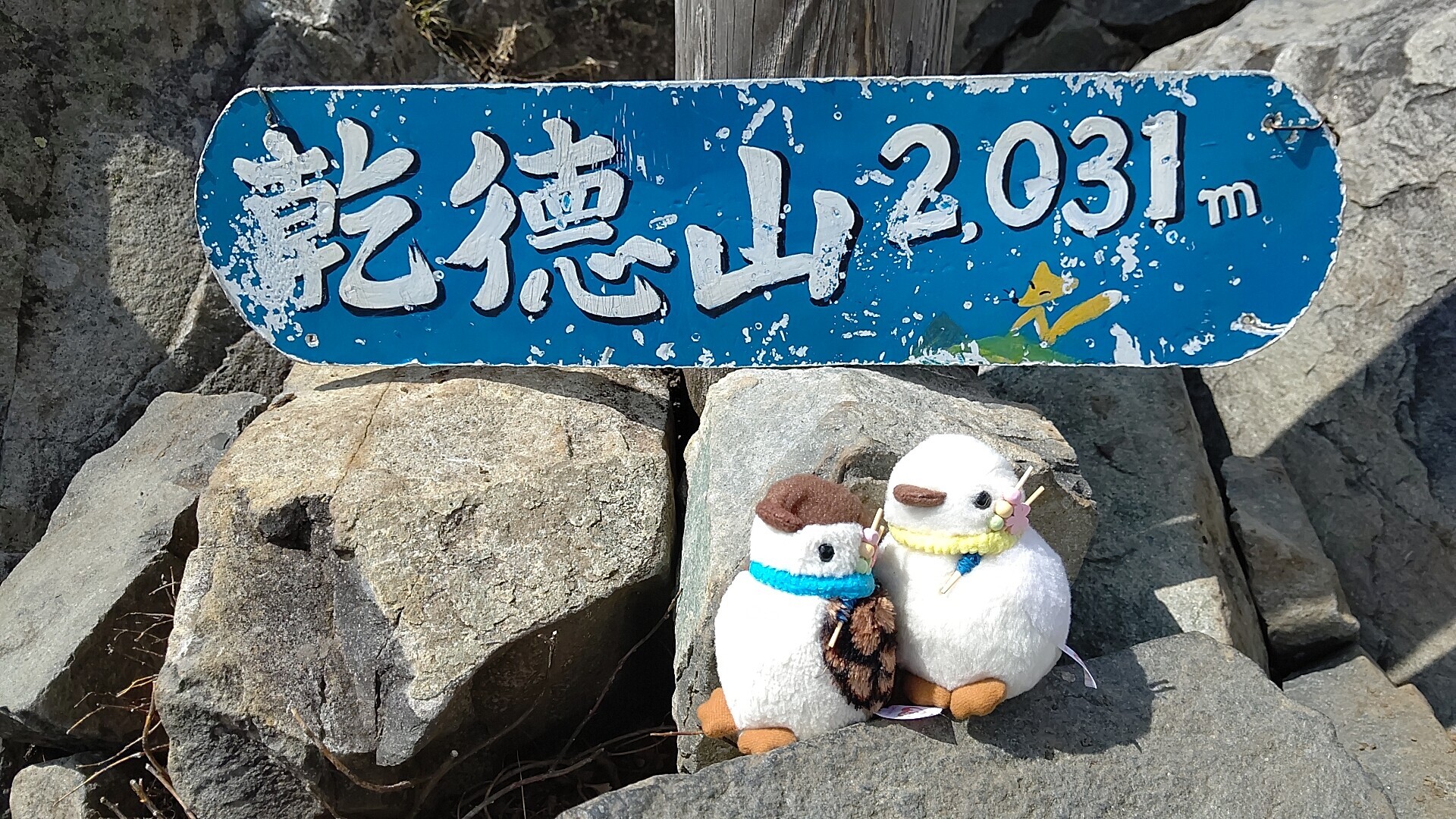 小屋沢ノ頭・乾徳山【ﾊｲｼﾝﾀﾉｼﾐﾀﾞﾅ😌】 / *yukapico**さんの乾徳山・黒金山の活動データ | YAMAP / ヤマップ