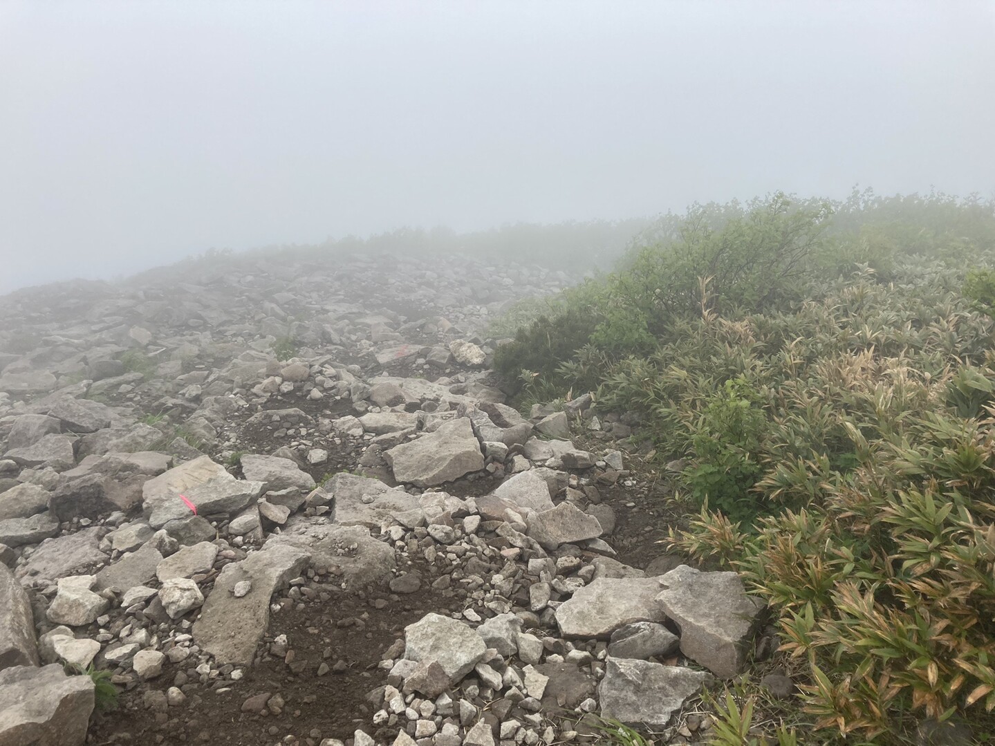 4🗻🦒ニセコアンヌプリ / LEEさんのニセコアンヌプリ・イワオヌプリ・チセヌプリの活動データ | YAMAP / ヤマップ